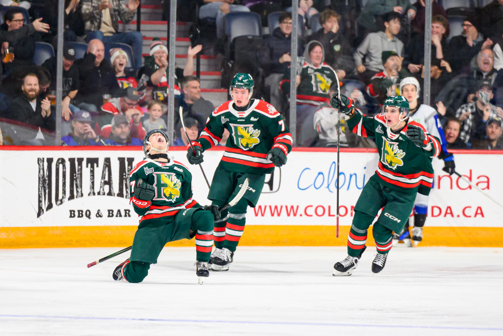 Mooseheads Roller Hockey