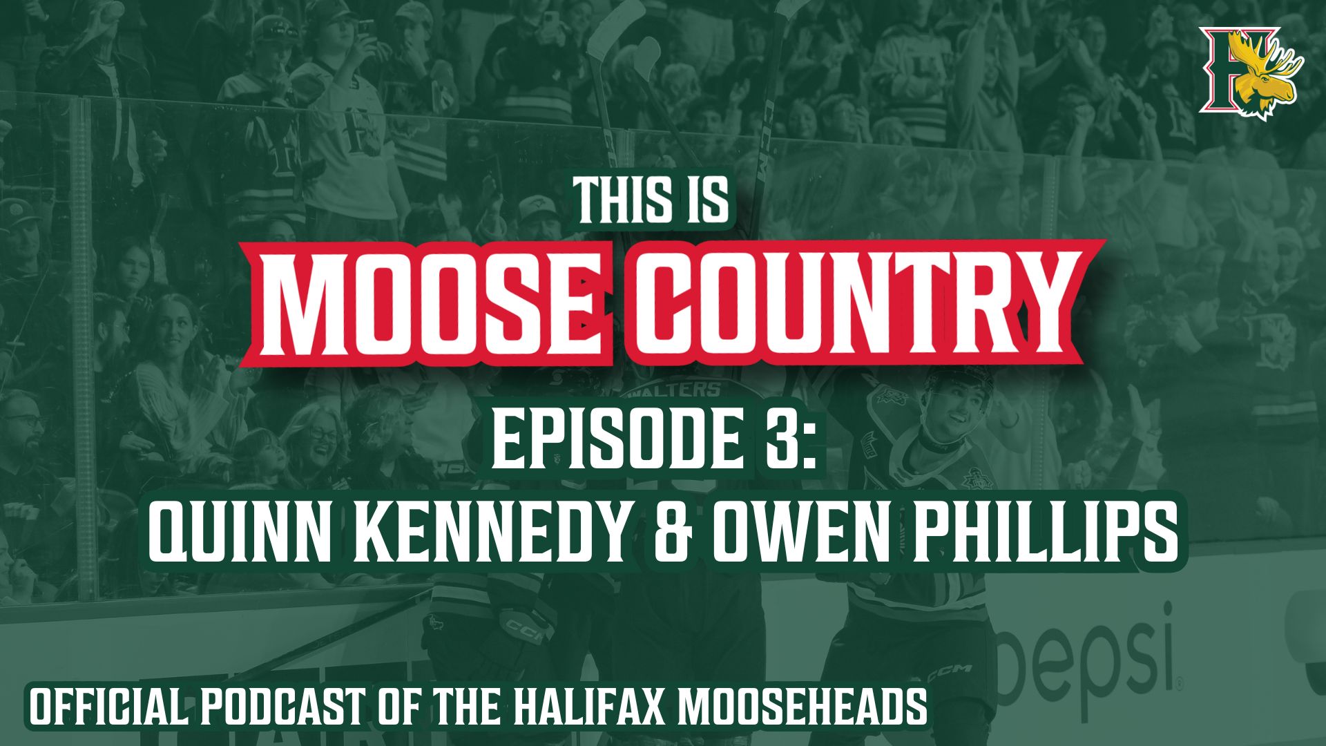 Halifax Mooseheads