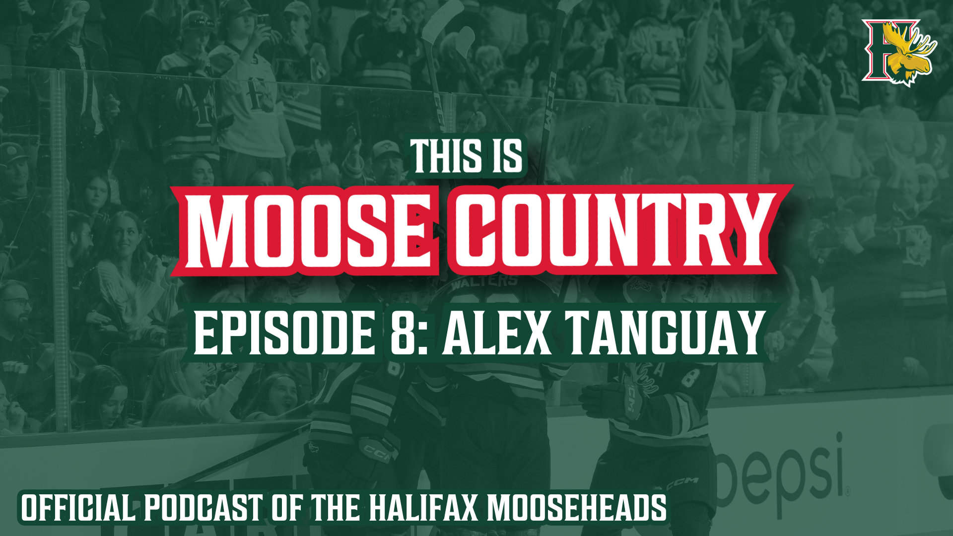 Halifax Mooseheads