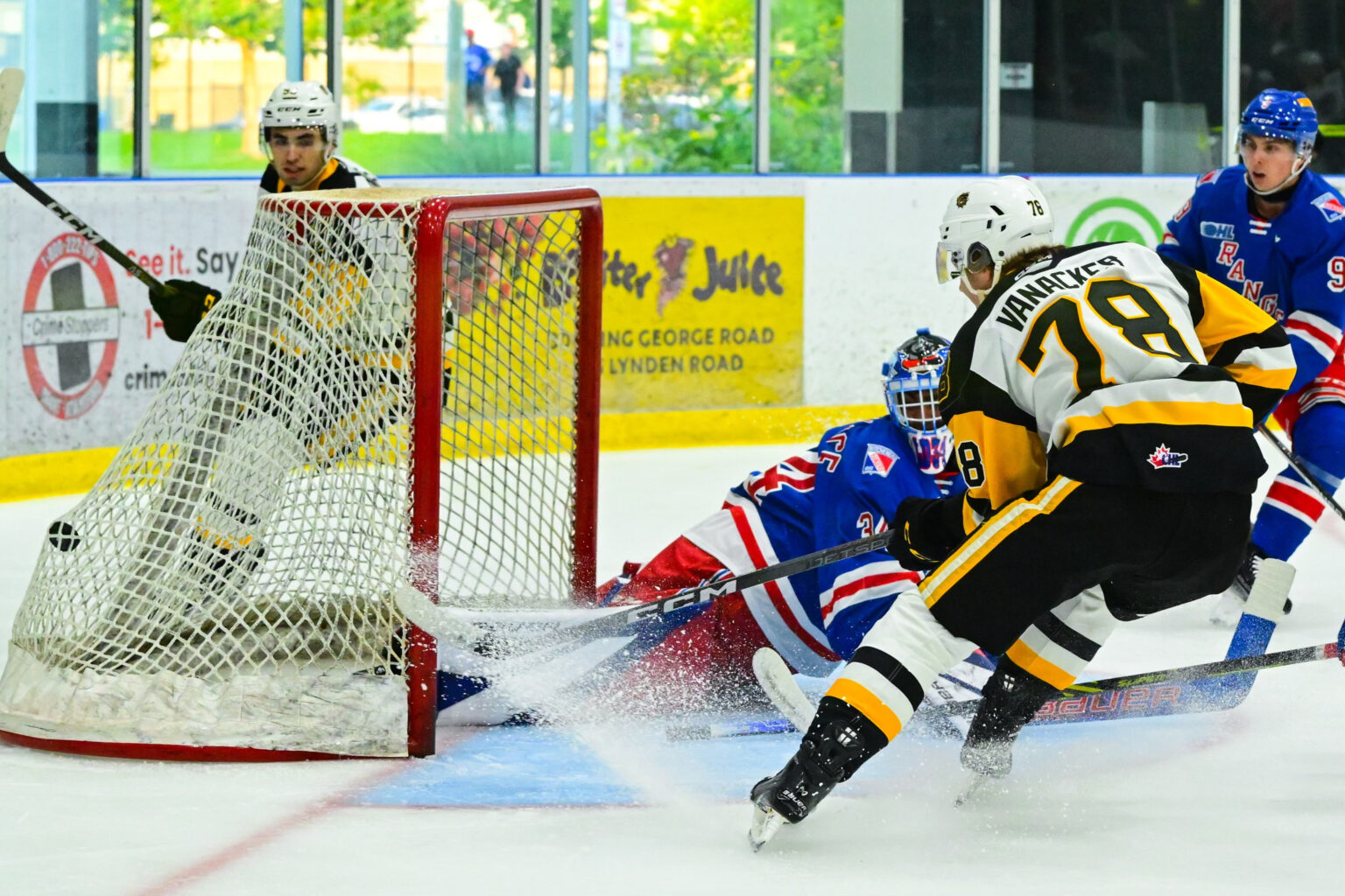 BULLDOGS GEAR UP FOR REGULAR SEASON - Brantford Bulldogs