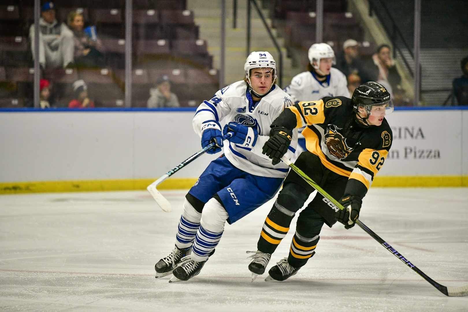 MARTONE & MACDONELL TAME THE DOGS 6-1 ON SUNDAY - Brantford Bulldogs