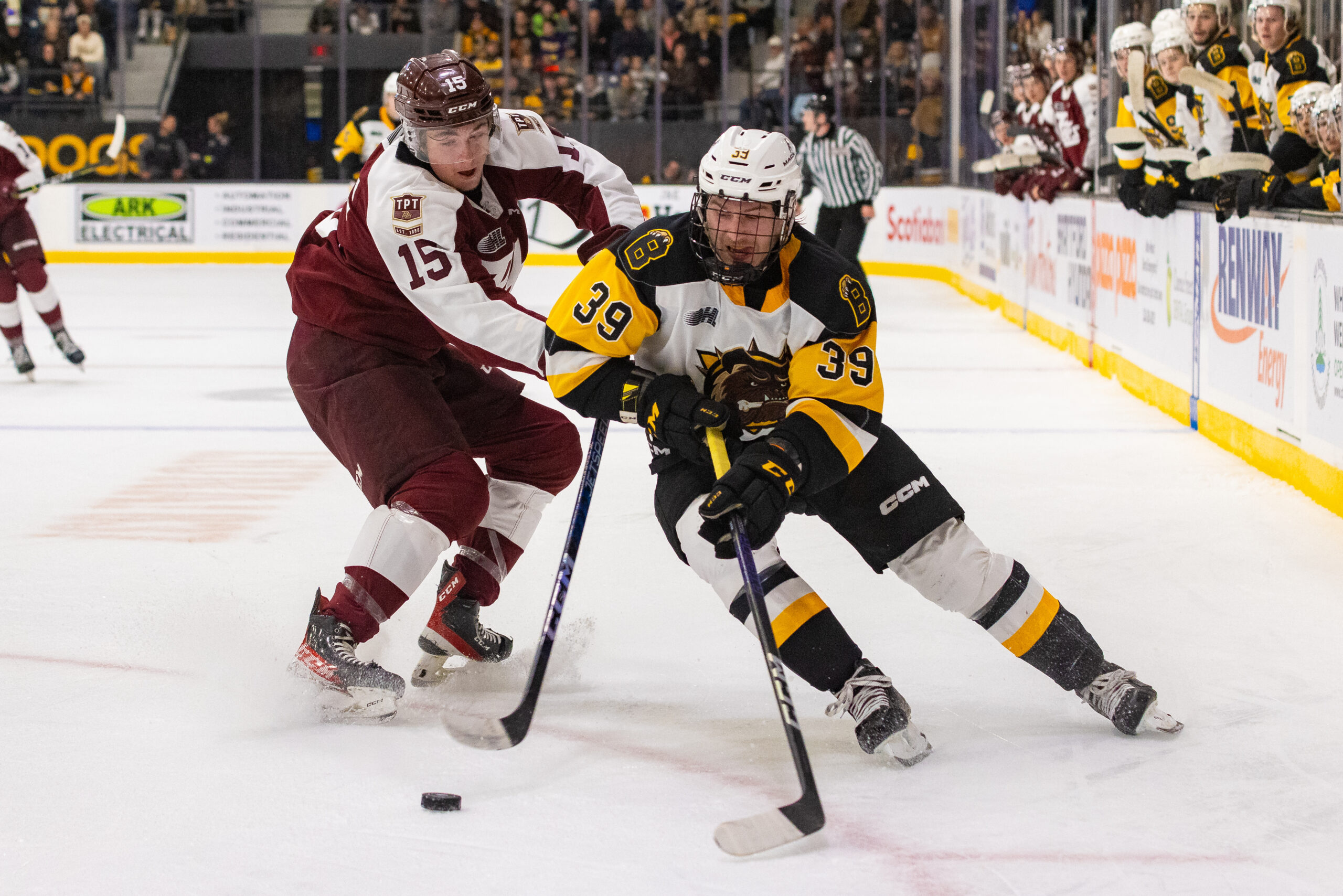 PURDELLER POWERS PETES PAST BULLDOGS - Brantford Bulldogs