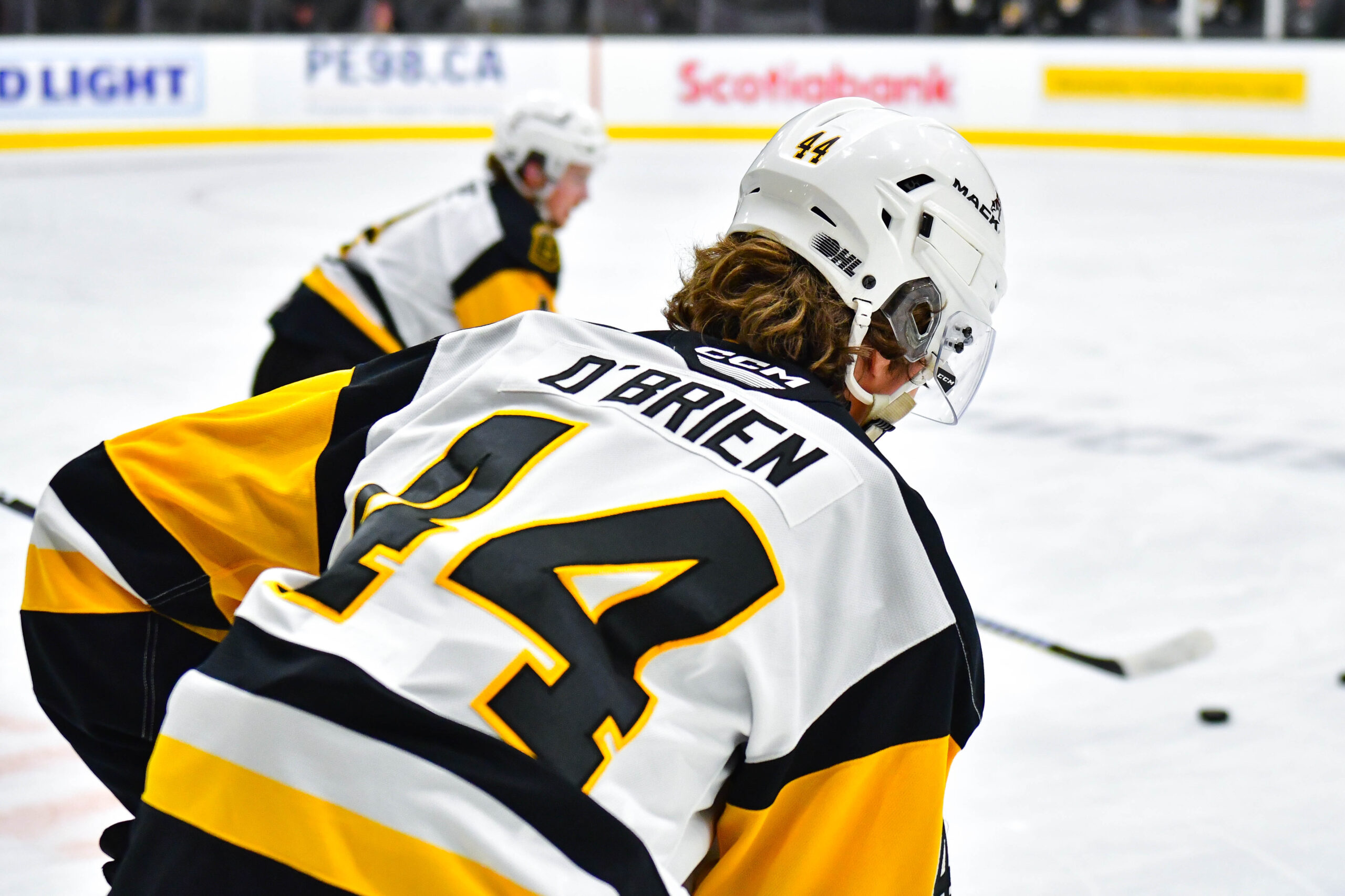 O’BRIEN STARS, DROBAC SAVES AS DOGS DROP ATTACK 5-2 - Brantford Bulldogs