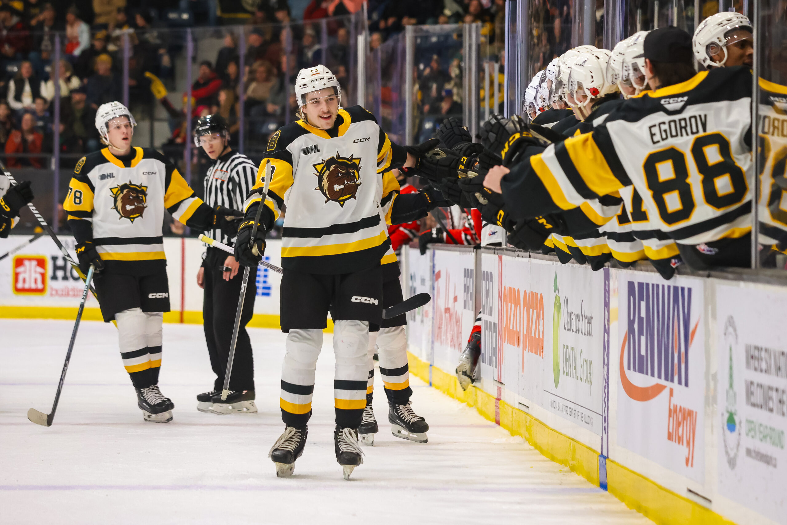 XHEKAJ PAIR DRIVES DOGS TO VICTORY OVER NIAGARA - Brantford Bulldogs