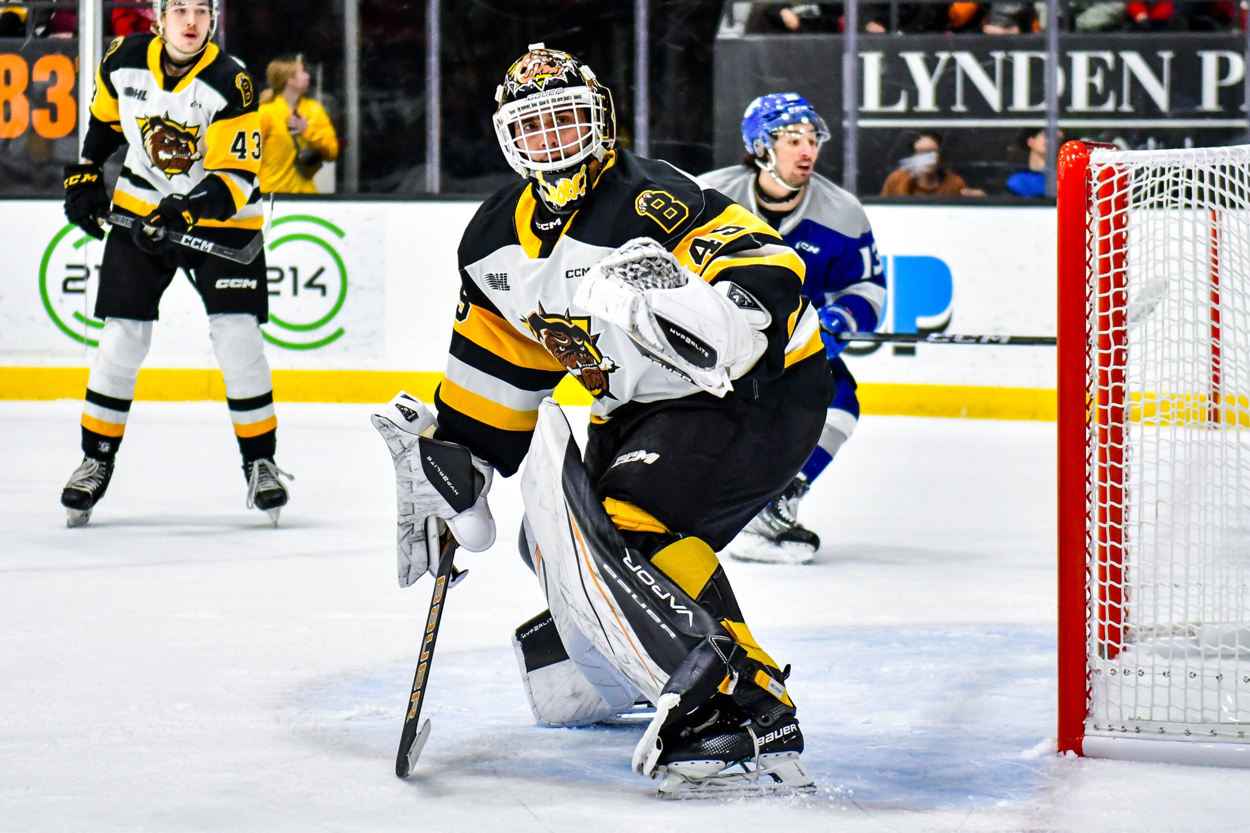 DROBAC DENIES 23 AS BULLDOGS SHUTOUT WOLVES 4-0 - Brantford Bulldogs