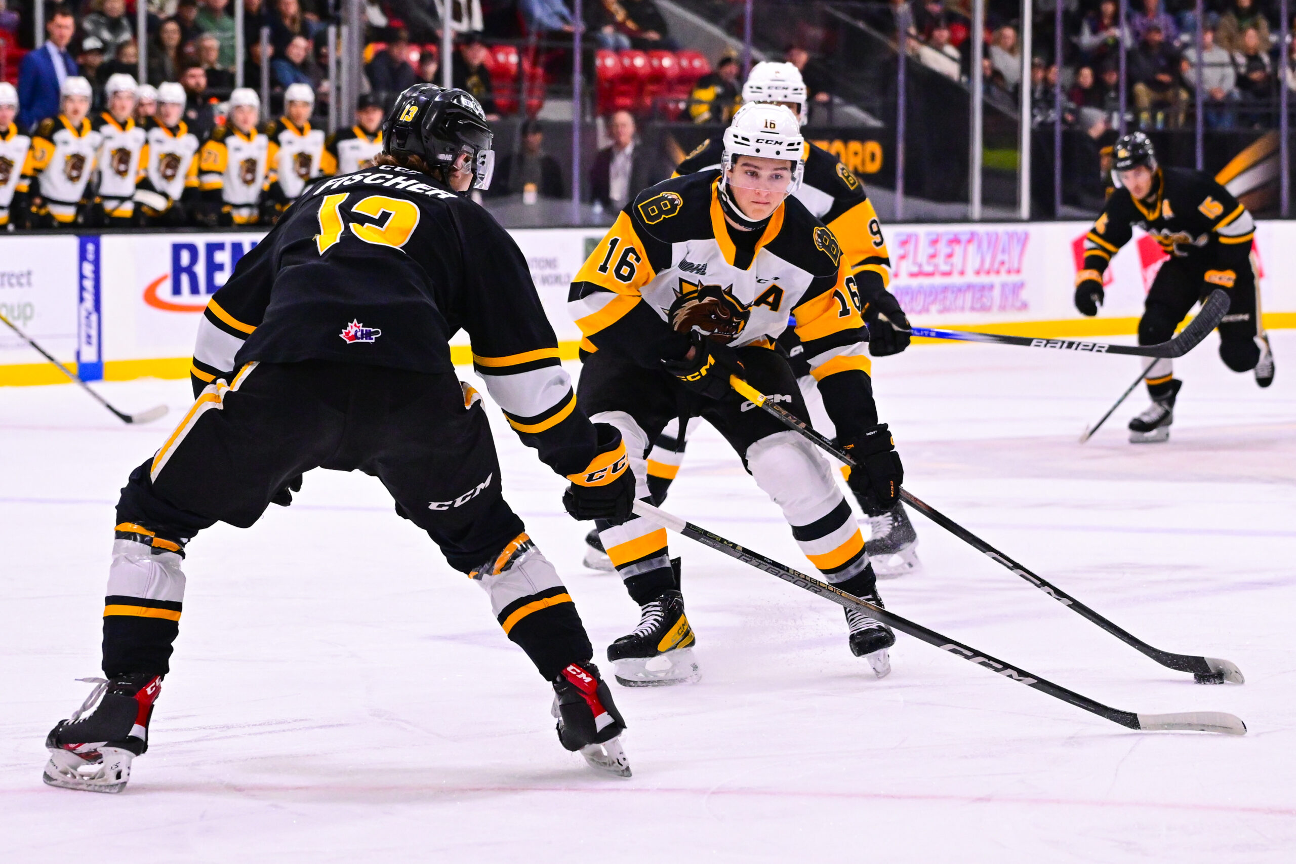 LARDIS POTS PAIR IN DOGS WEDNESDAY WIN OVER STING - Brantford Bulldogs