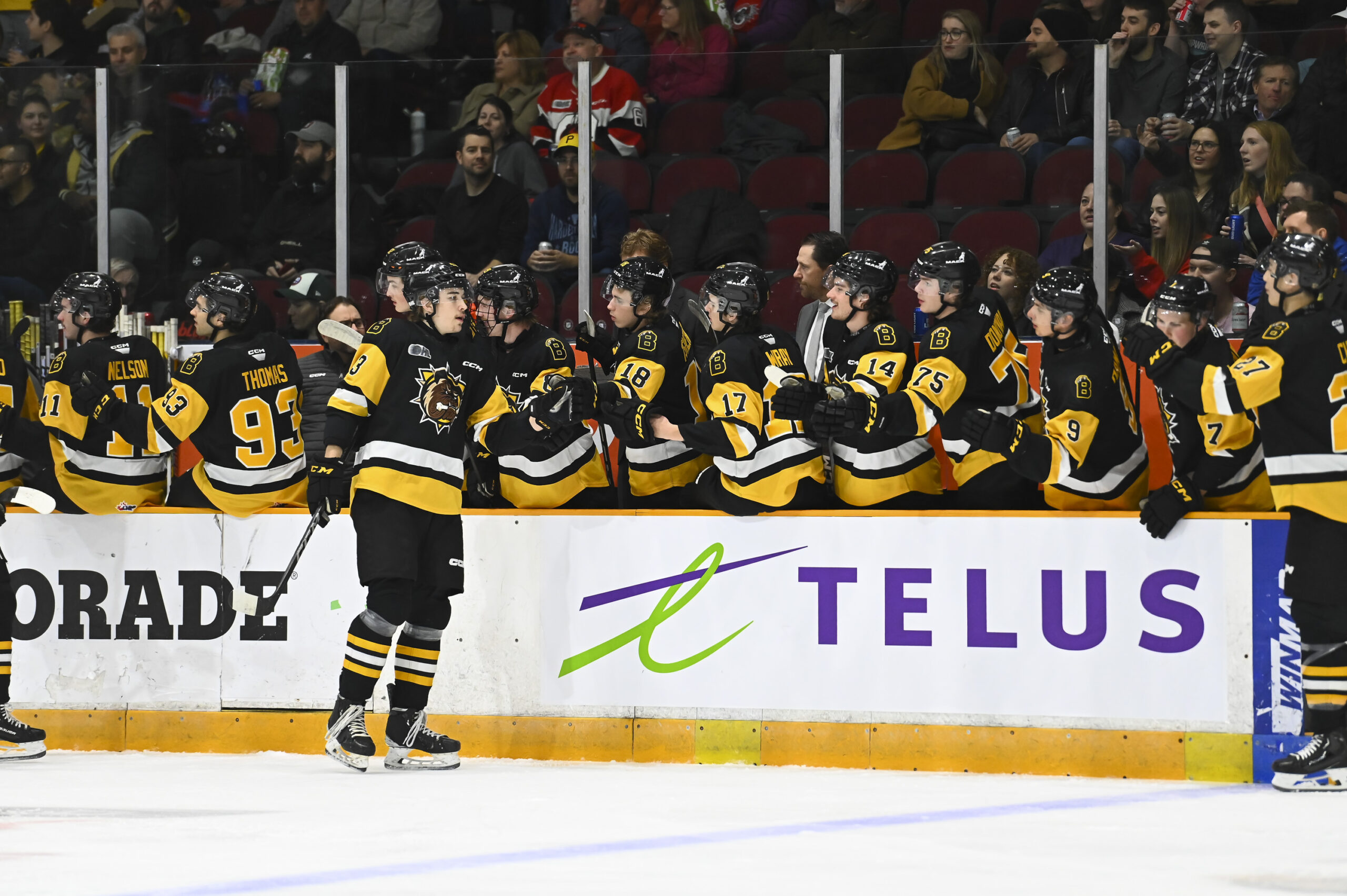 DROBAC DENIES 31 & XHEKAJ POTS A PAIR IN 2-1 WIN OVER 67s - Brantford ...