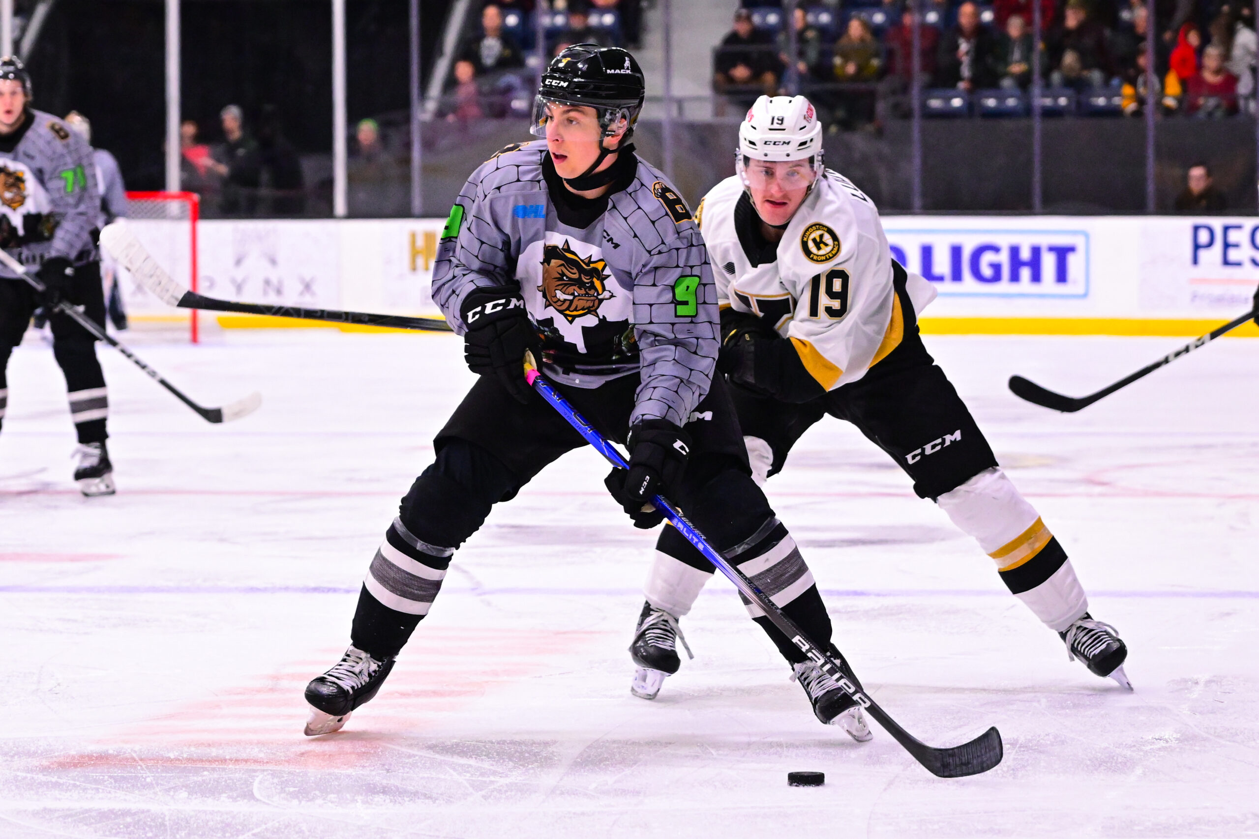 “HAMAR TIME” FOR BULLDOGS IN 5-2 WIN OVER FRONTS - Brantford Bulldogs