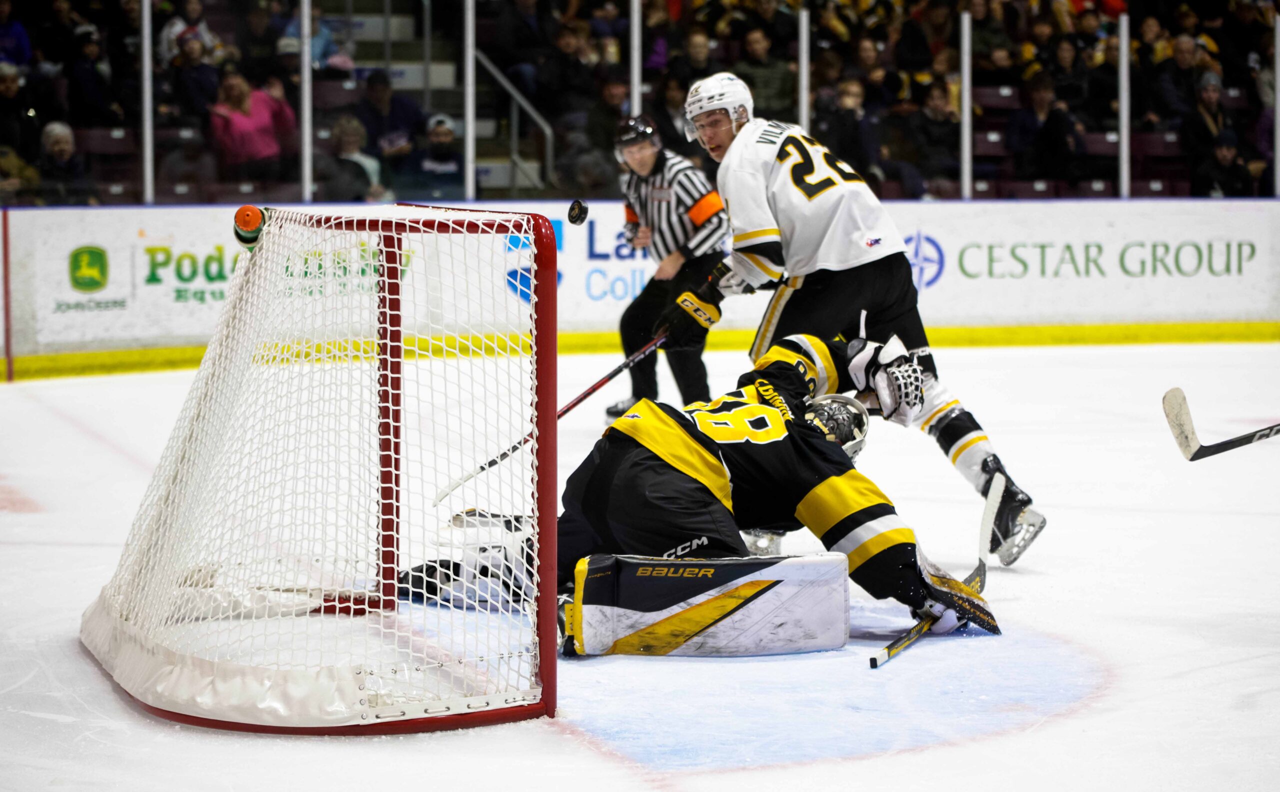 BULLDOGS STUNG BY VILMANIS IN SARINA OT LOSS - Brantford Bulldogs