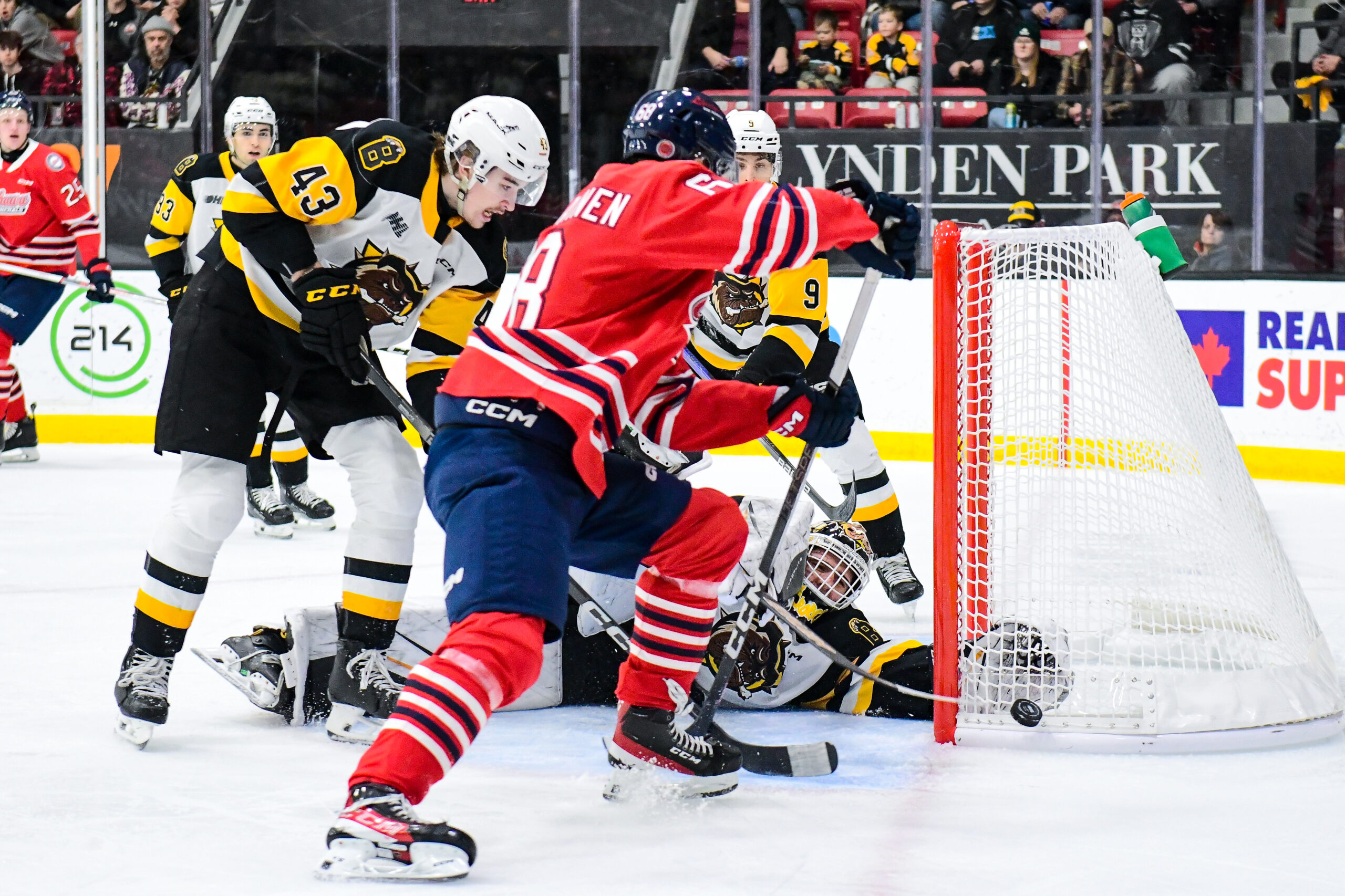 DOGS FALL TO KUMPULAINEN LED GENERALS ON SATURDAY - Brantford Bulldogs