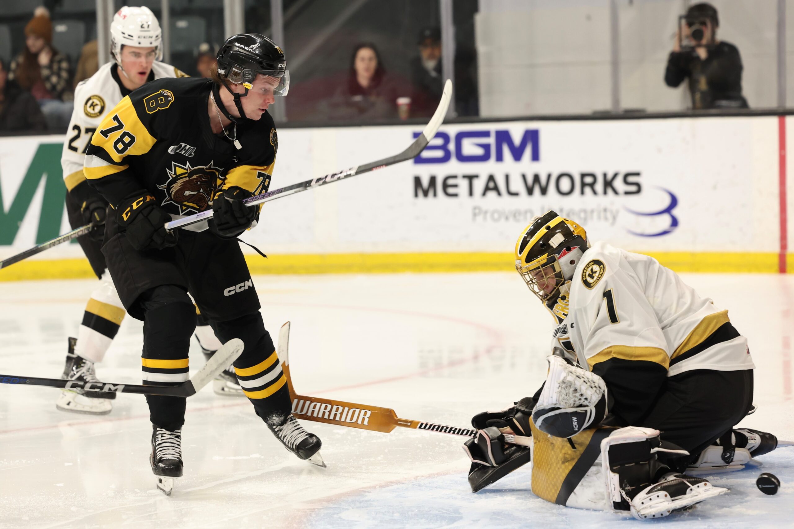 VANACKER 4 POINT EFFORT EARNS DOGS A POINT IN KINGSTON - Brantford Bulldogs