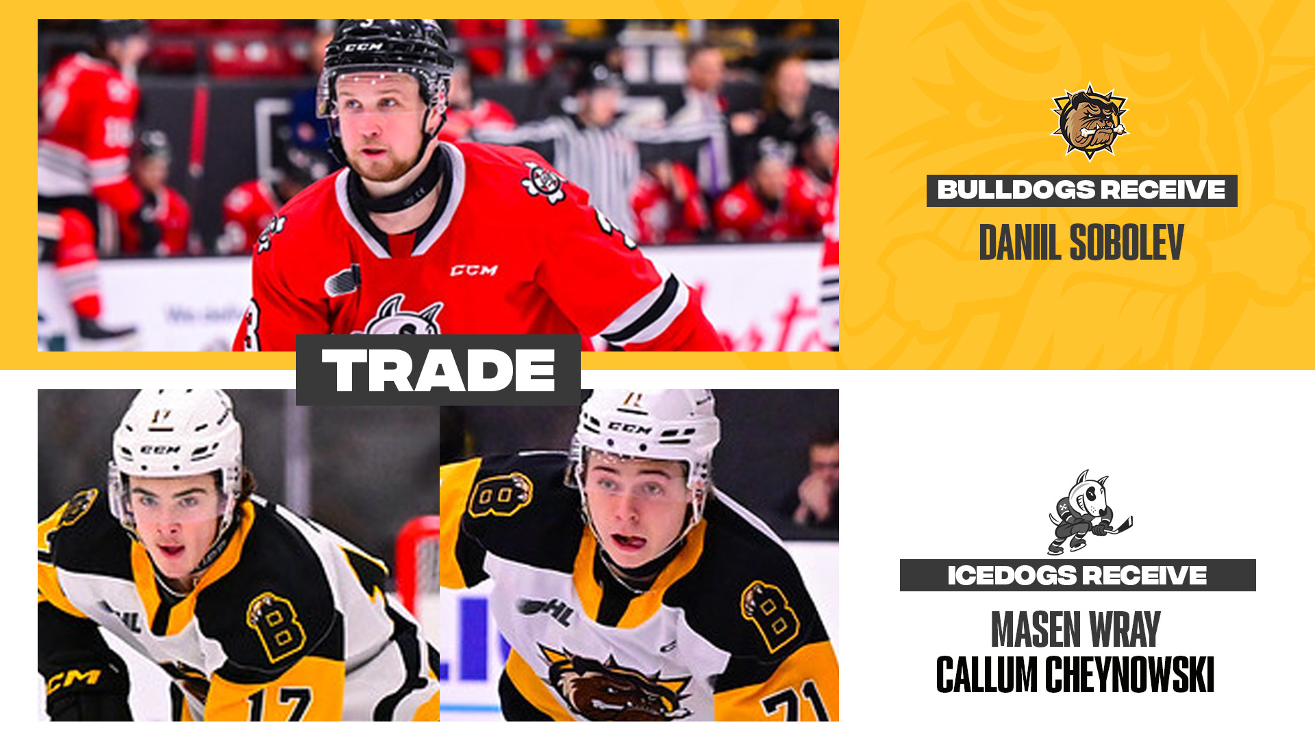 BULLDOGS ACQUIRE DANIIL SOBOLEV FROM ICEDOGS - Brantford Bulldogs