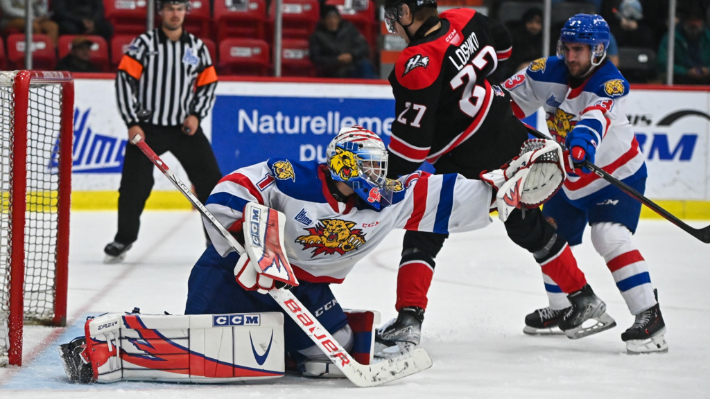 Steinman with 47 saves in loss to Huskies - Moncton Wildcats
