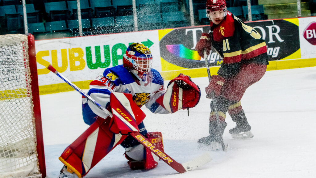 Warren sensational as Cats take shootout in Bathurst - Moncton Wildcats