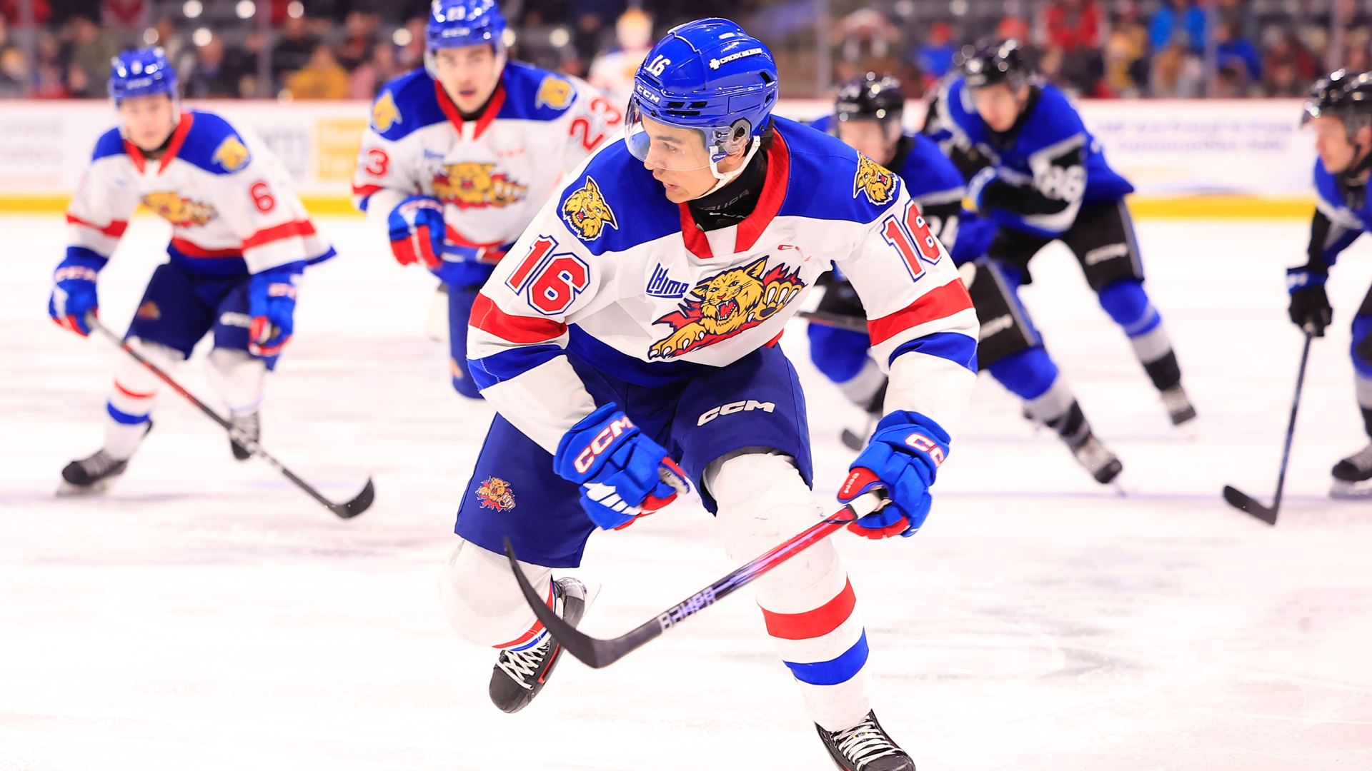 Wildcats grab March Break home win over Sea Dogs - Moncton Wildcats