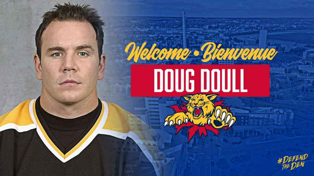 Wildcats announce Doug Doull as Assistant Coach - Moncton Wildcats