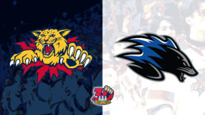 Wildcats Begin December Strong Against Struggling Sea Dogs - BVM Sports