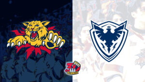 Cats Face Sherbrooke Phoenix on Pride Night Showdown - BVM Sports