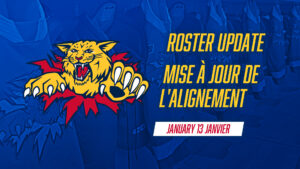 Wildcats welcome Bursaw, make roster updates - BVM Sports