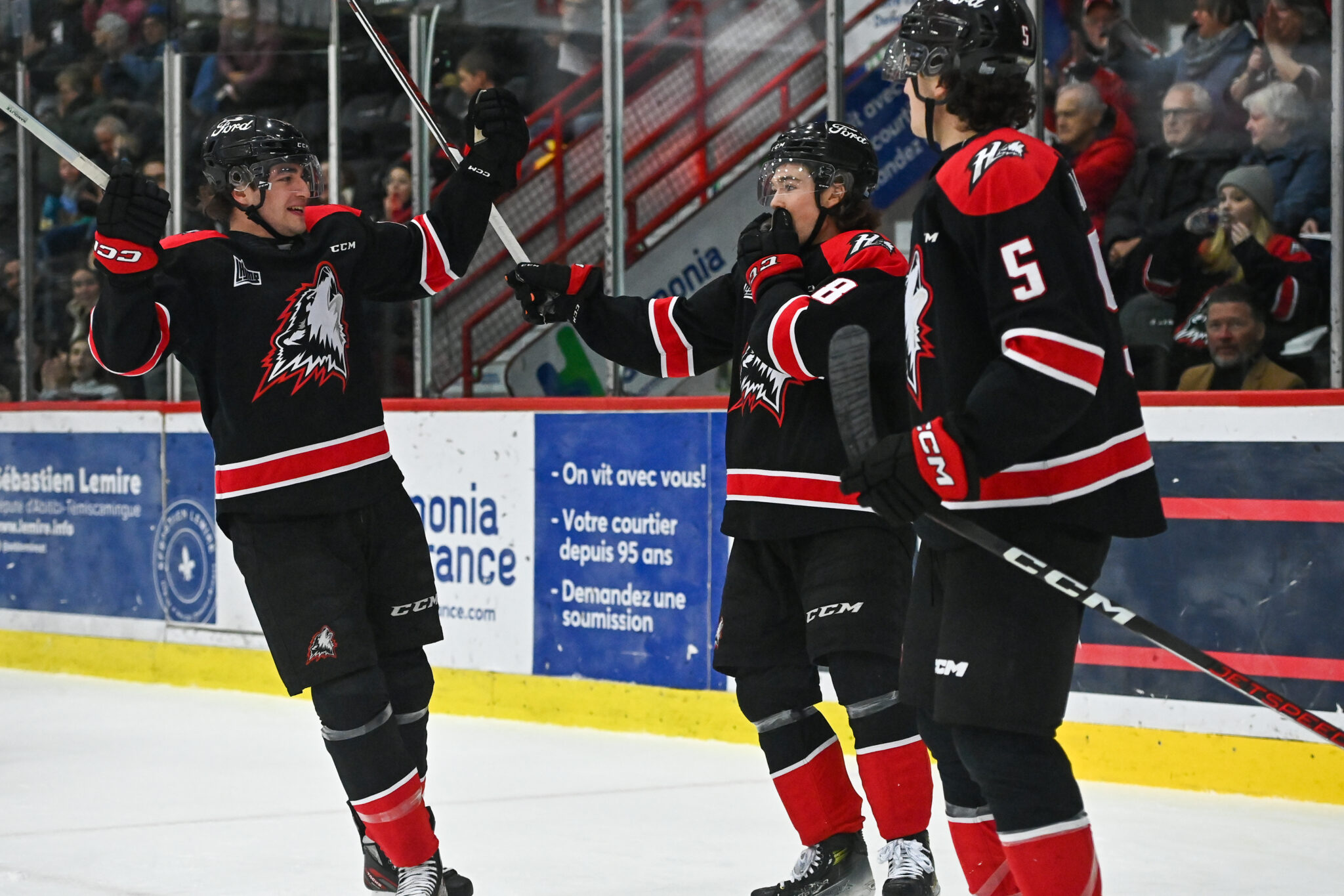 Les Tigres entre les griffes de la meute - Huskies de Rouyn-Noranda