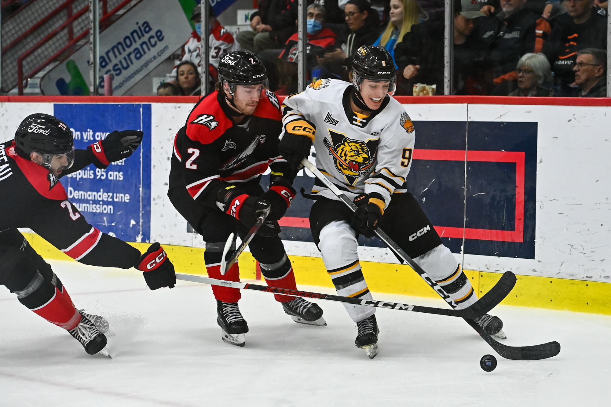 Huskies de Rouyn-Noranda
