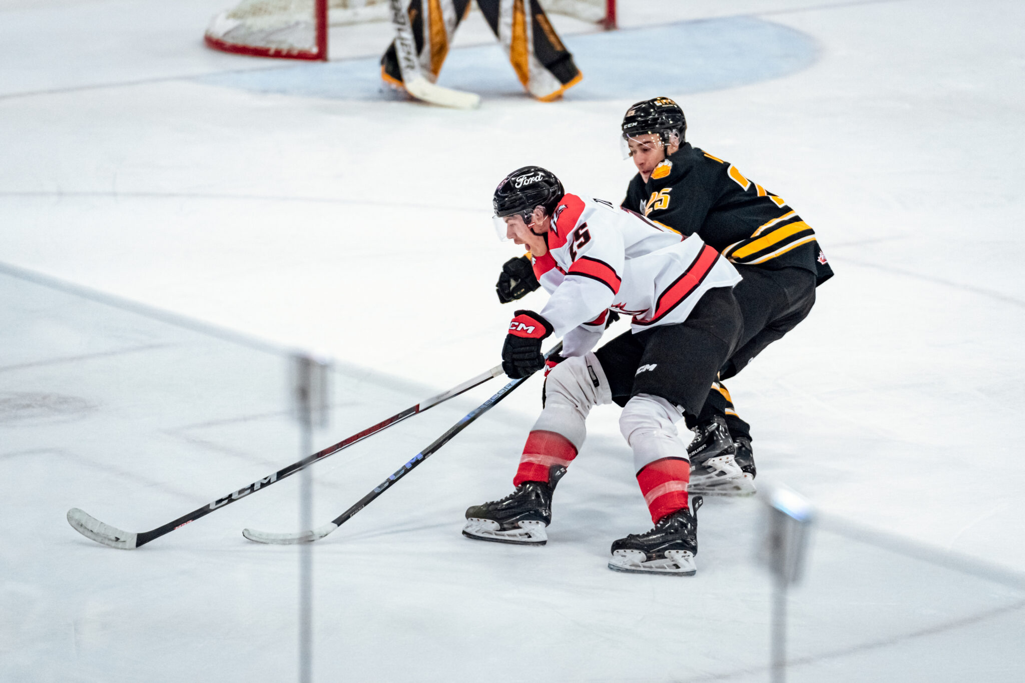 Les Huskies au pied du mur - Huskies de Rouyn-Noranda
