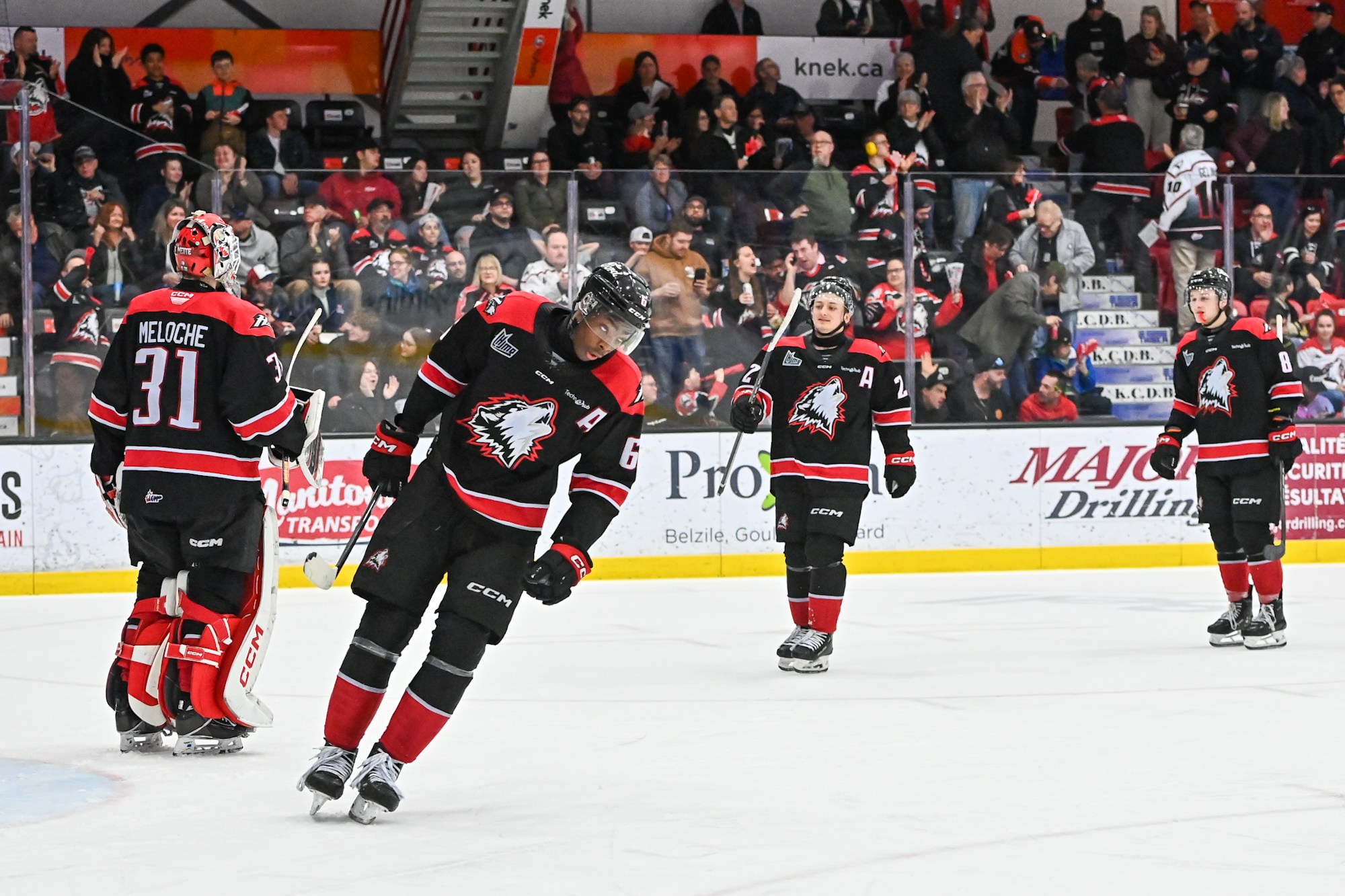 Les Huskies préparent leur chasse de la bonne façon ! - Huskies de ...
