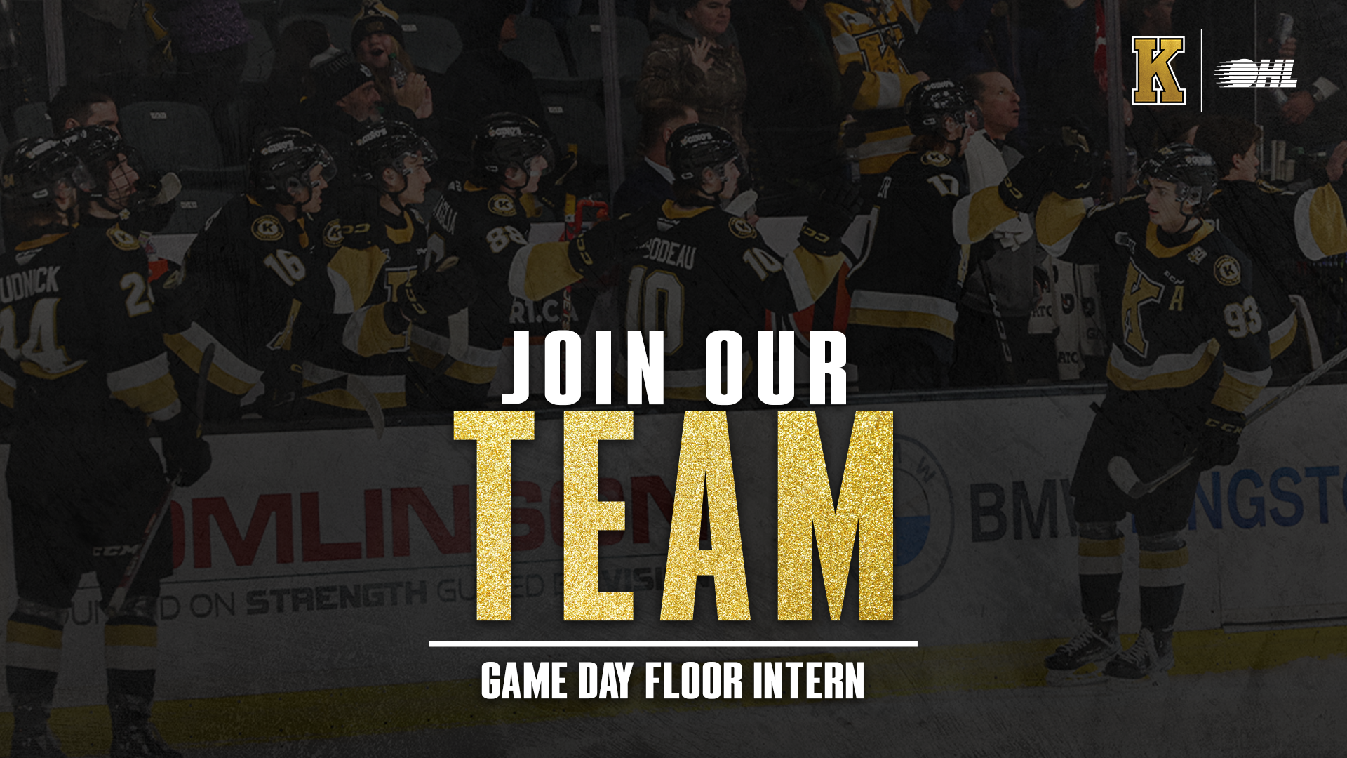 Now Hiring: Game Day Floor Intern - Kingston Frontenacs