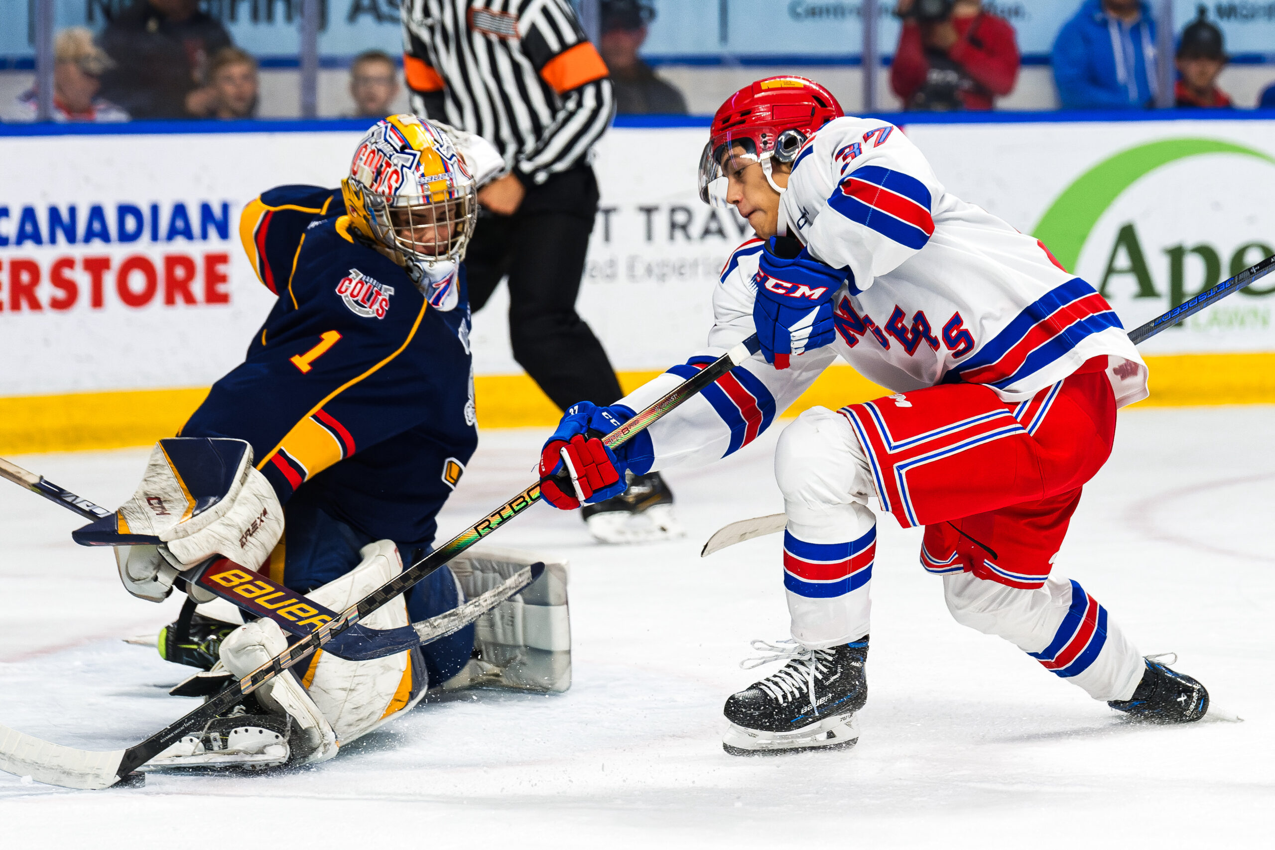SPOTLIGHT: Tanner Lam - Kitchener Rangers