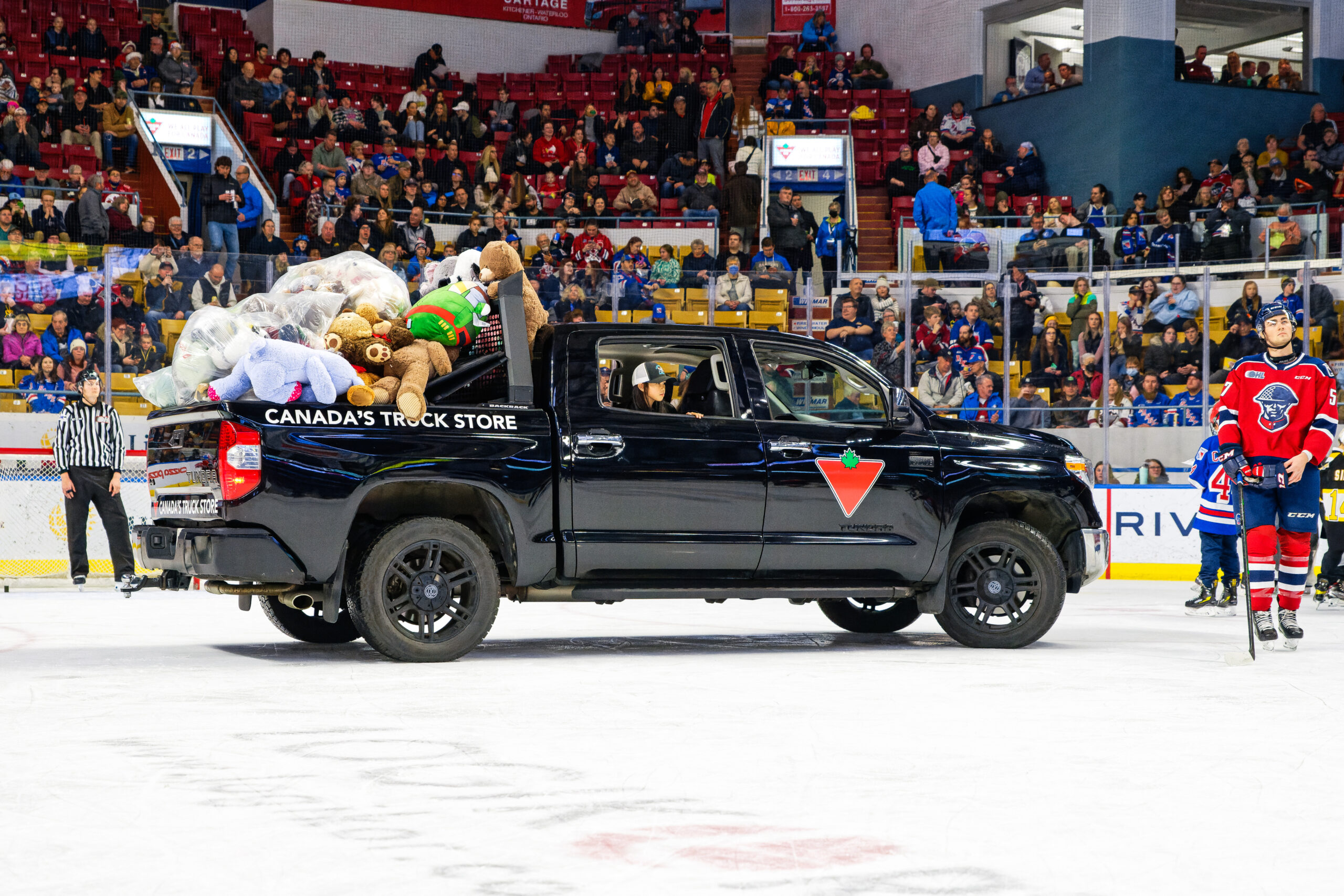 Game Preview: Rangers host Guelph in annual Teddy Bear Toss Game ...
