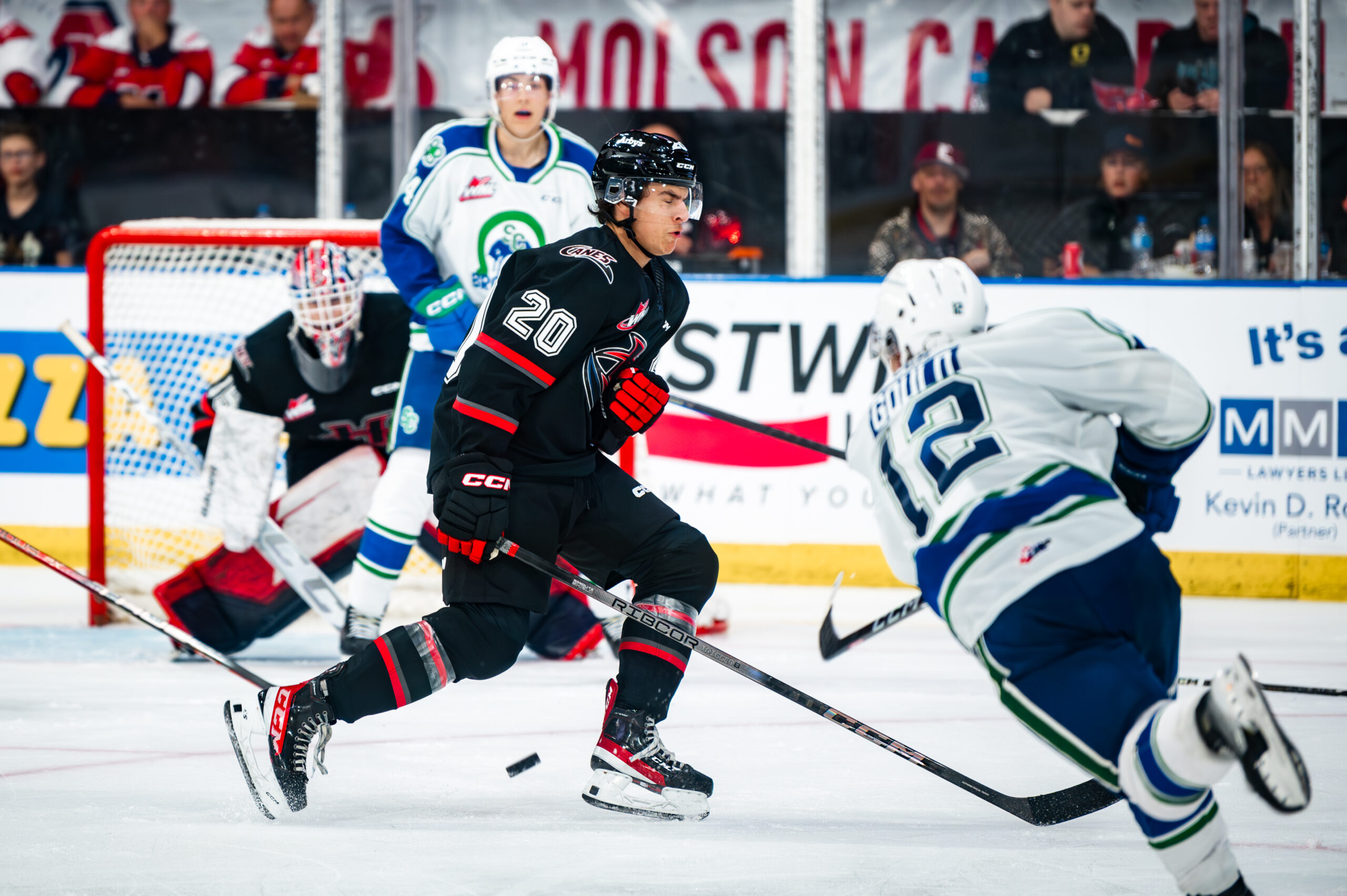TRADE: Warriors acquire defenceman from Hurricanes - Moose Jaw Warriors