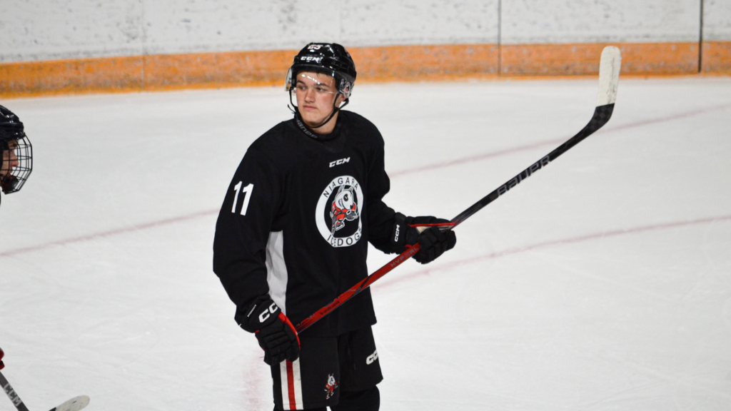 Training Camp Recap: Day 2 - Niagara IceDogs