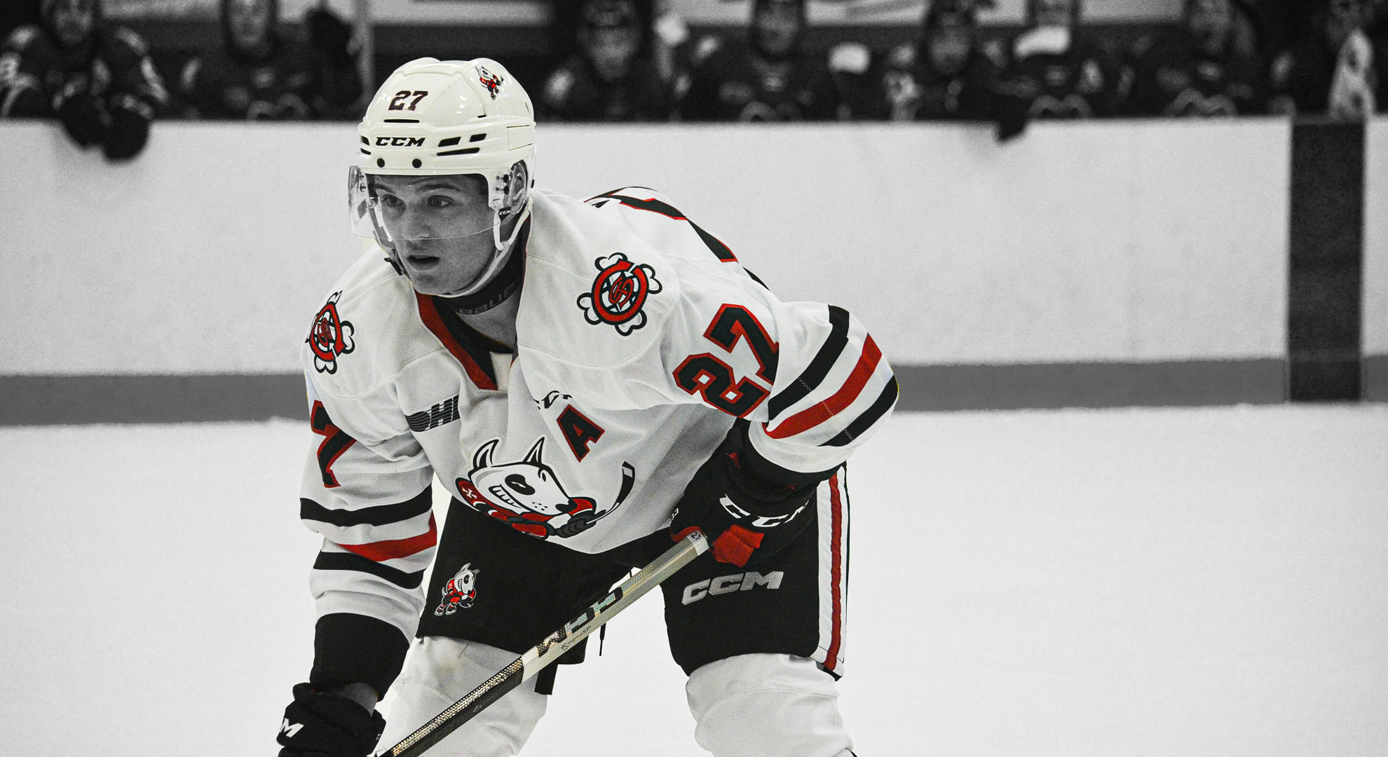 Niagara IceDogs Fall To The Storm At Fleming Memorial Arena - Niagara ...