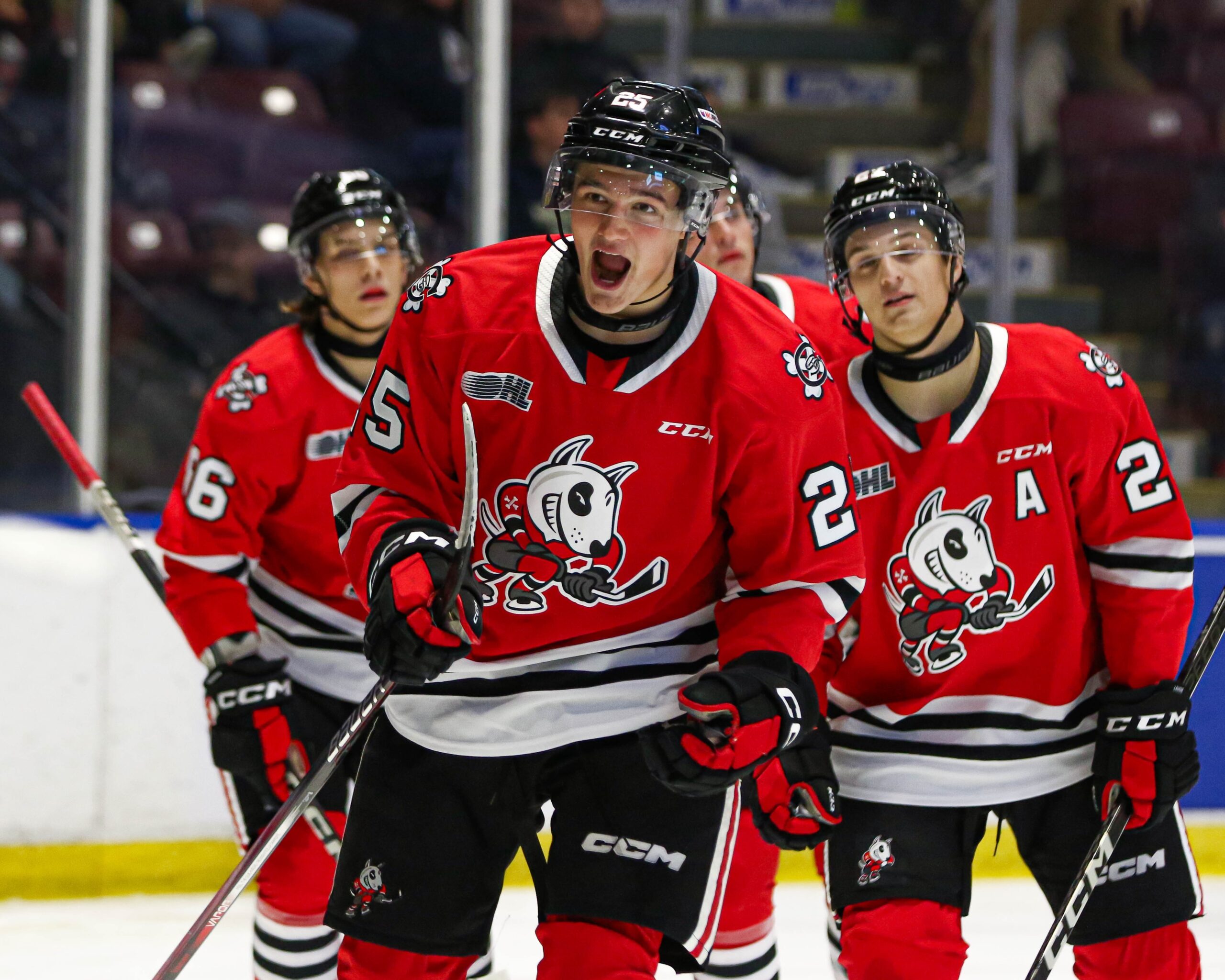 IceDogs A Grab A Point In A Thrilling Affair With The Colts - Niagara ...