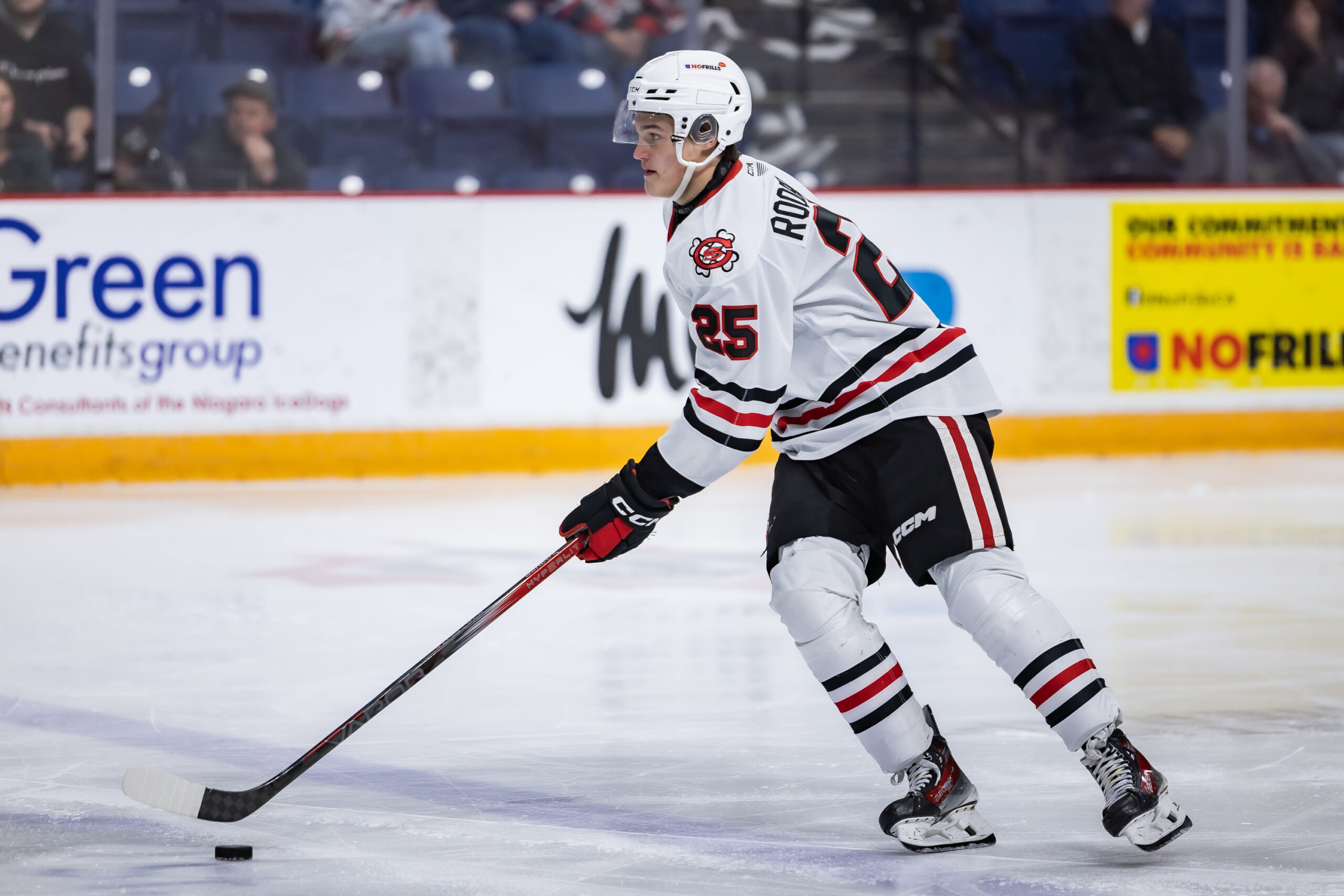 Roobroeck Stays Hot, IceDogs Fall To Bulldogs - Niagara IceDogs