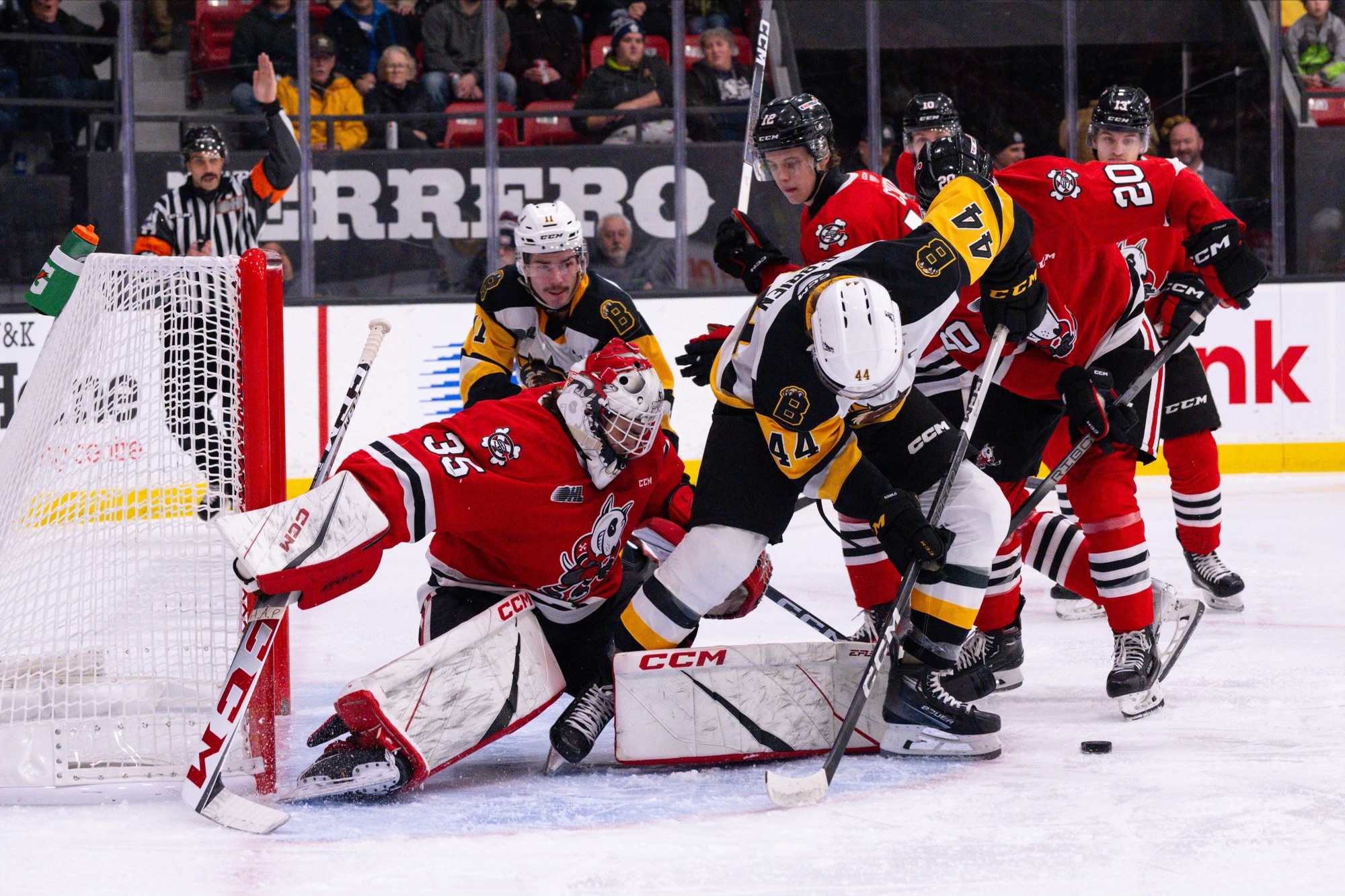 Dianov Scores First Career Goal and Flores Shines In Loss Against The ...