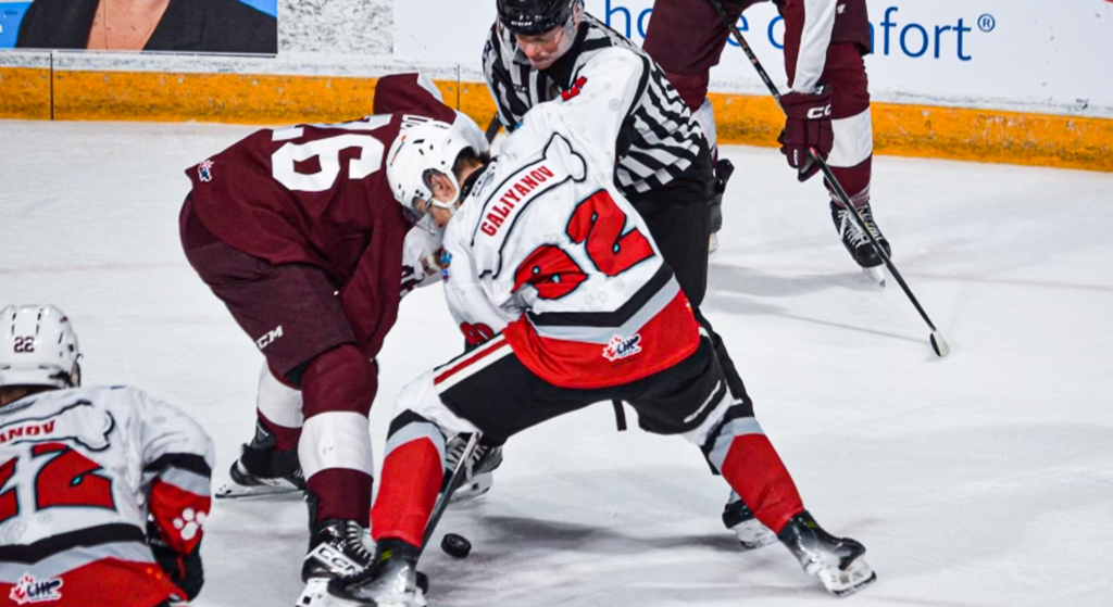 IceDogs Defeat The Petes For Their Second Consecutive Win - Niagara IceDogs