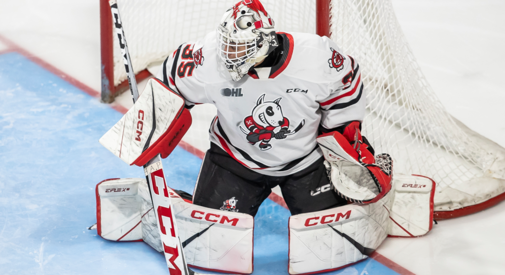 Owen Flores Displays Excellence With 47 Saves In Loss - Niagara IceDogs
