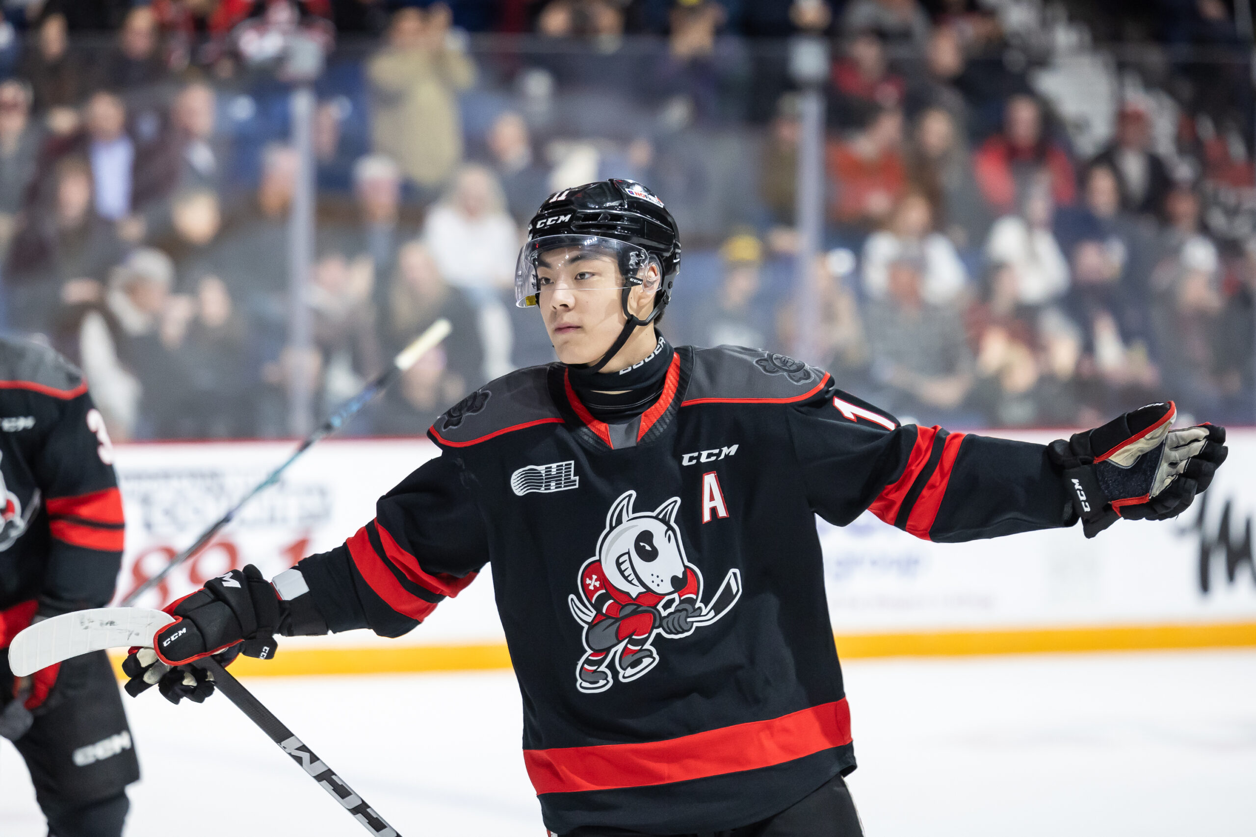 Kevin He Scores OT Winner In Front of Sold Out Crowd At Meridian Centre ...