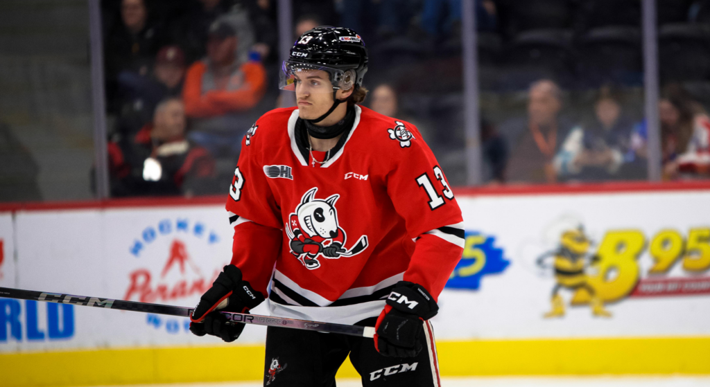 IceDogs Fall At Home to Frontenacs - Niagara IceDogs