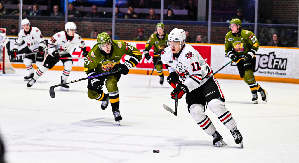 IceDogs Can't Bounce Back Against Battalion - Niagara IceDogs