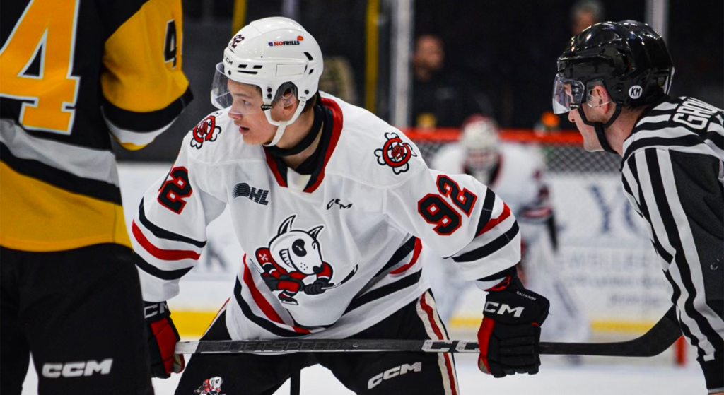 IceDogs Fall In Spirited Tilt To Bulldogs - Niagara IceDogs
