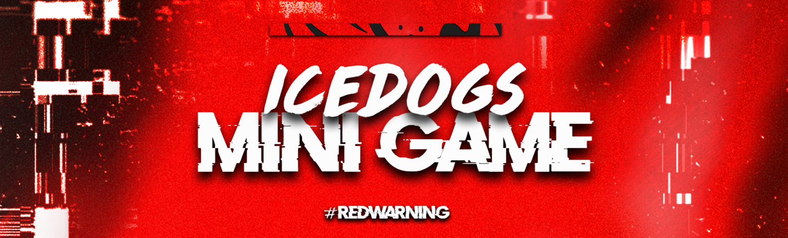 Mini Game Package - Niagara IceDogs