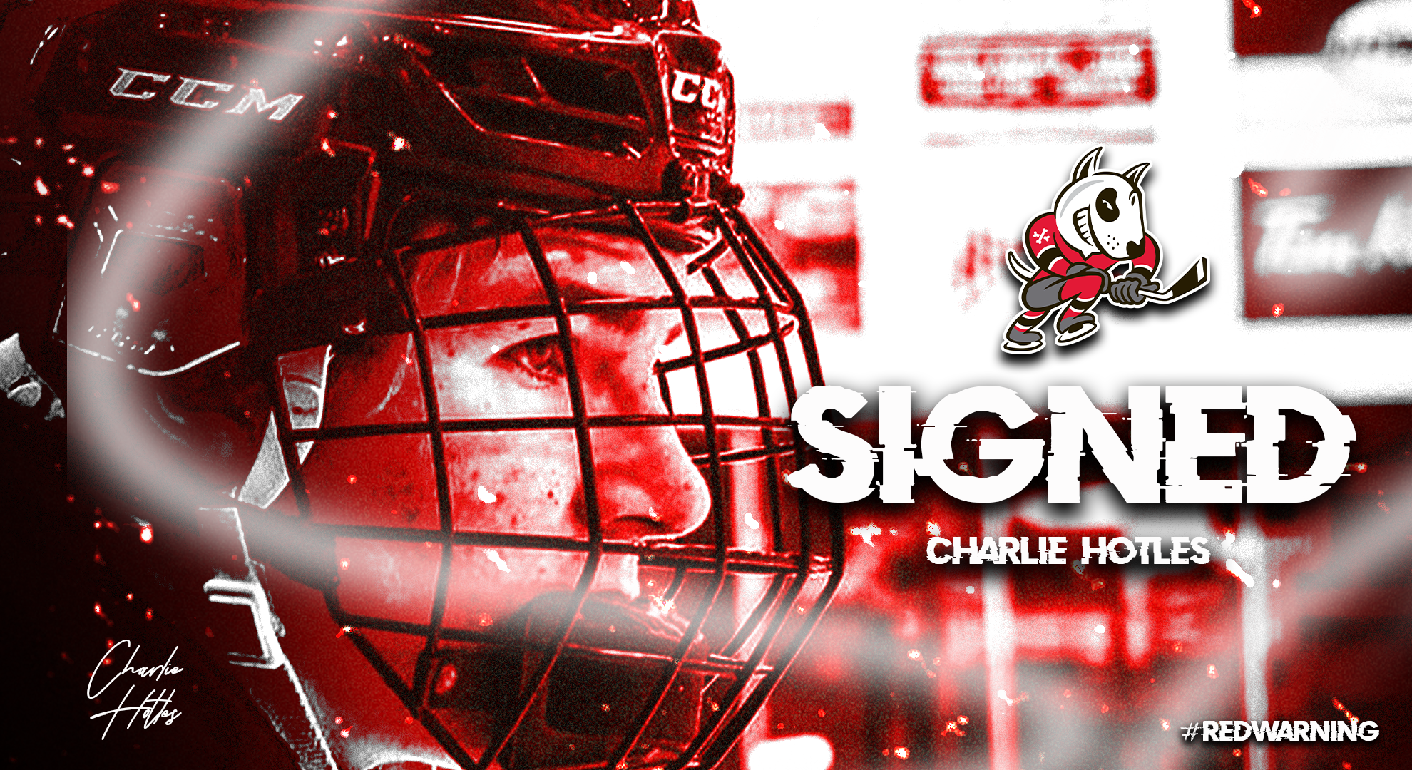 Charlie Hotles Commits to the Niagara IceDogs - Niagara IceDogs