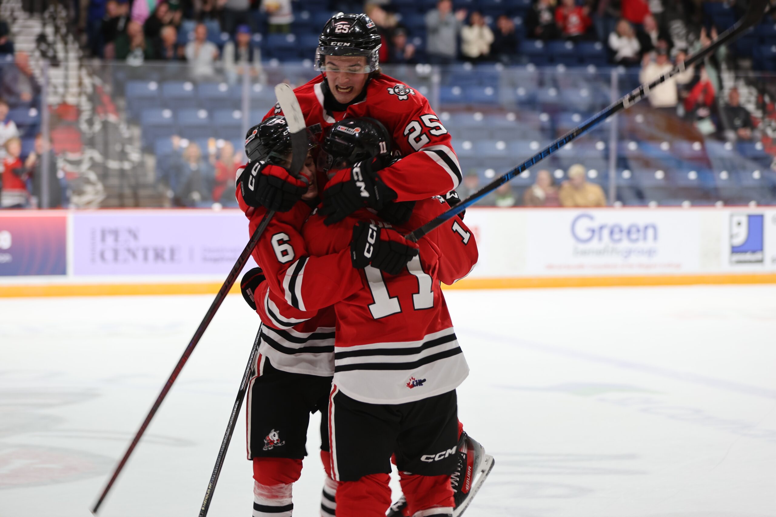 Niagara IceDogs