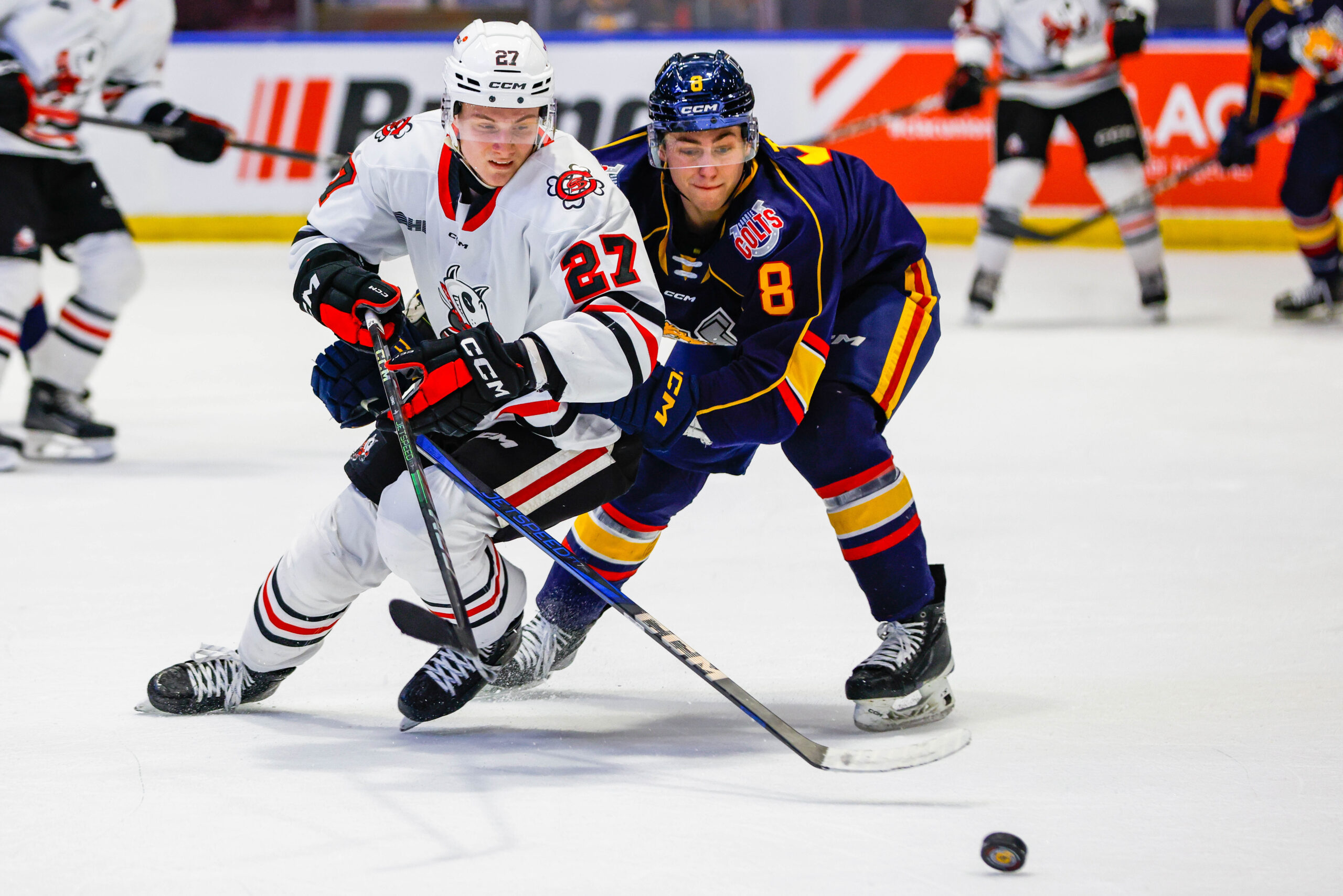 IceDogs Mount Thrilling Comeback but Ultimately Drop Game Two in Barrie ...