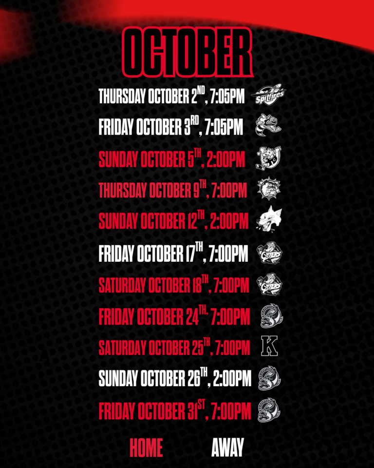 IceDogs Announce 2025-2026 Regular Season Schedule - Niagara IceDogs