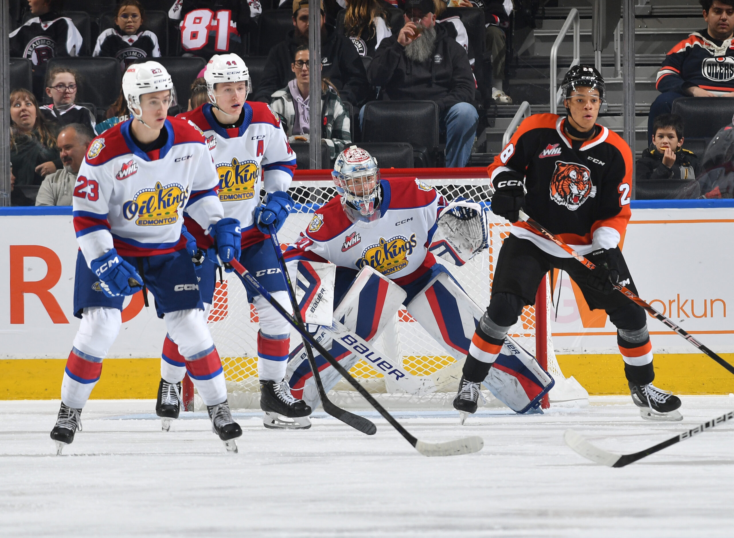 PREVIEW: Oil Kings vs. Medicine Hat Tigers 12.09.23 - Edmonton Oil Kings