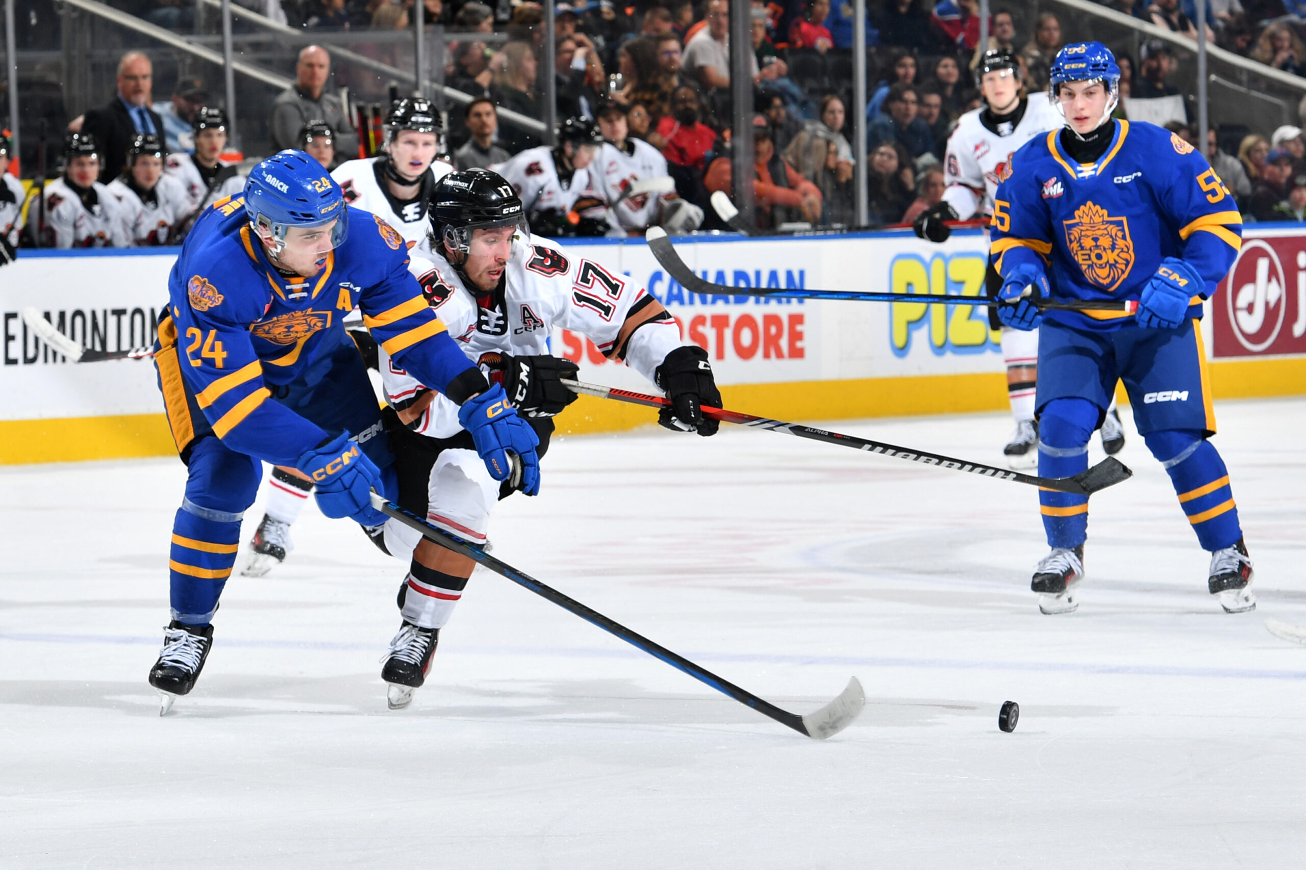 PREVIEW: Oil Kings vs Calgary Hitmen 2.21.24 - Edmonton Oil Kings