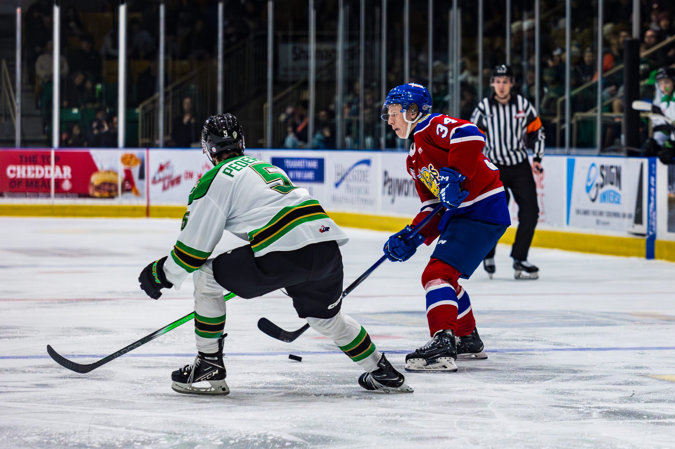 Edmonton Oil Kings Face Prince Albert Raiders Before Holiday Break ...